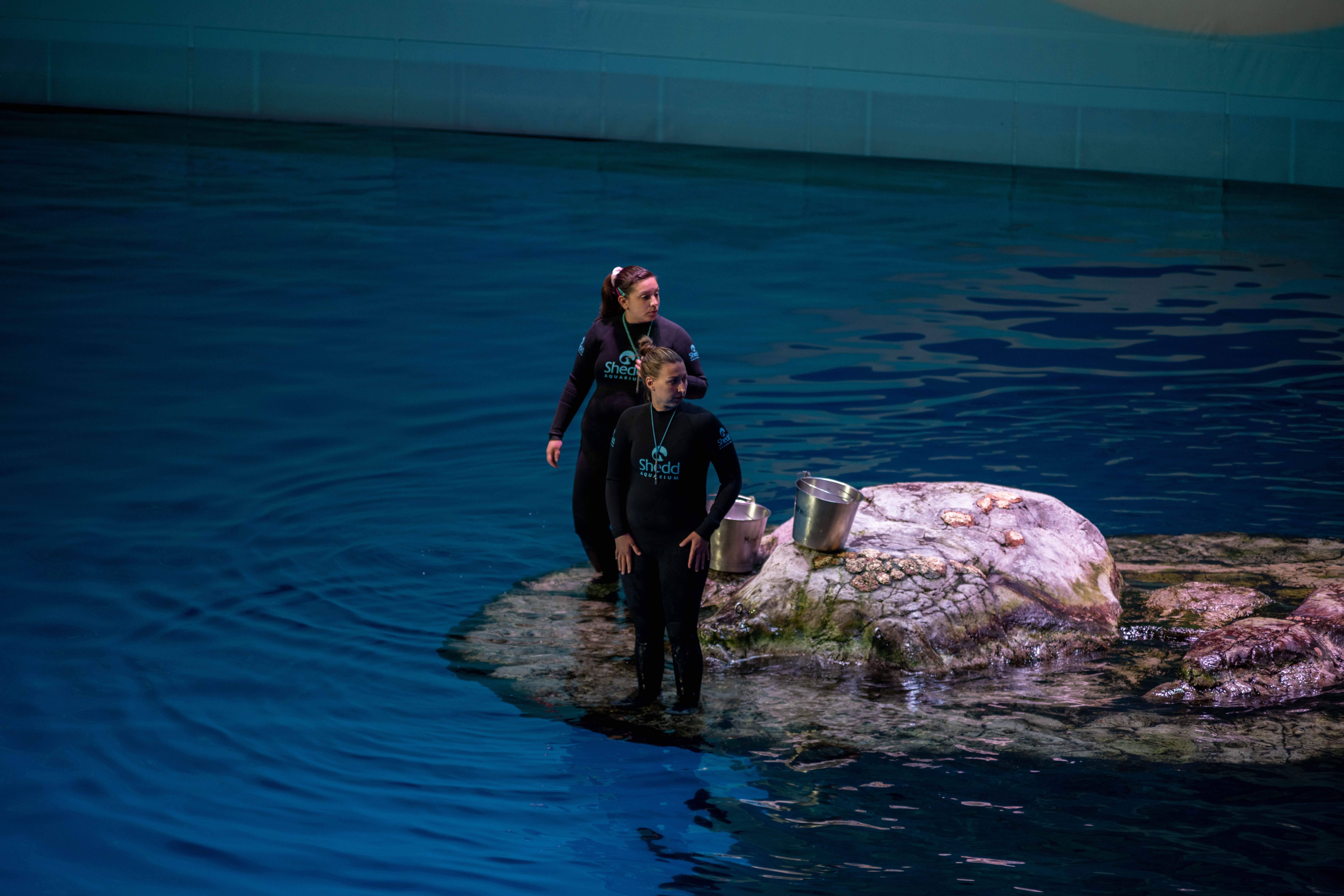 Women Working in Aquarium in Zoo · Free Stock Photo