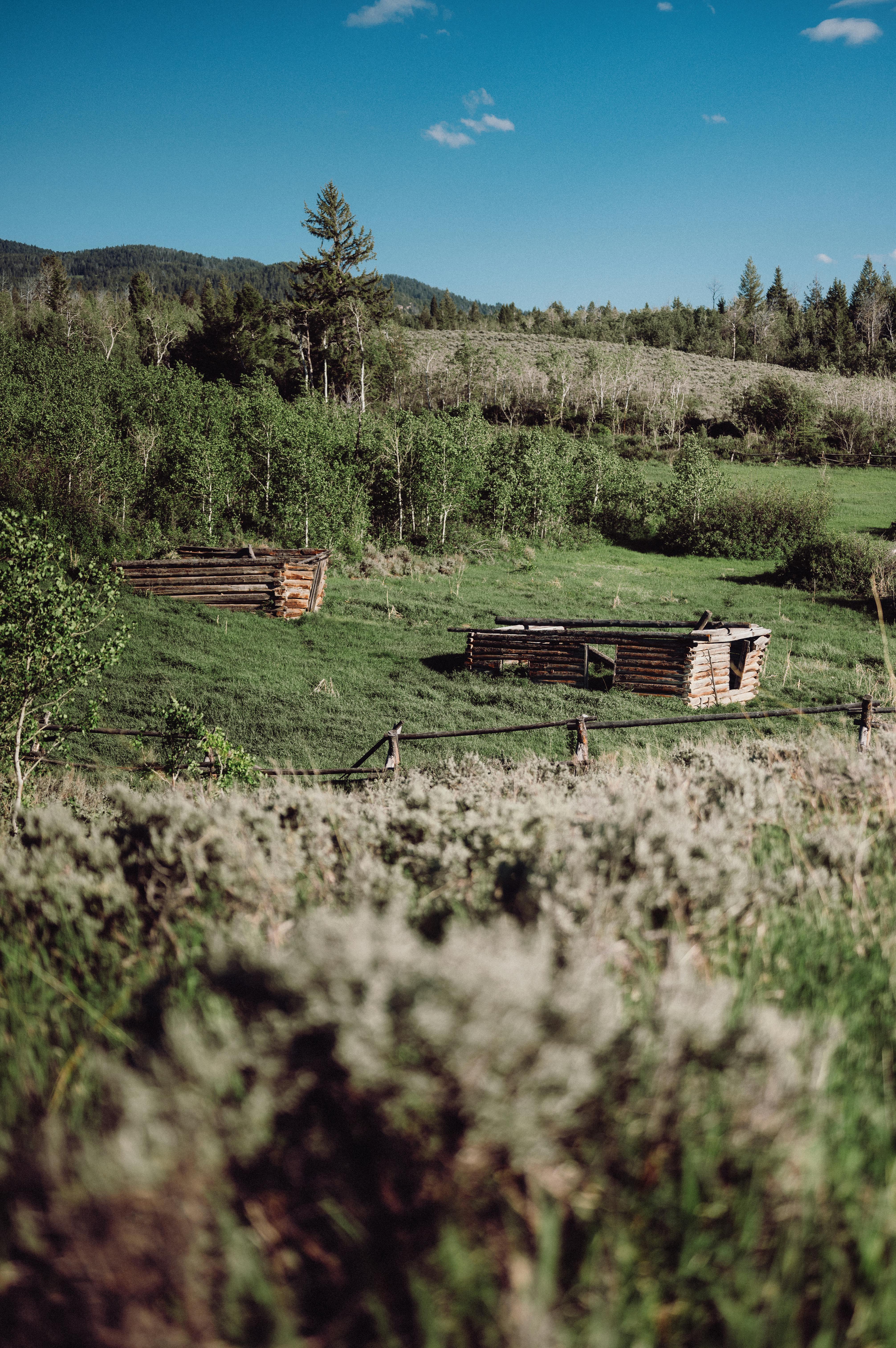 Two Incomplete Log Cabins · Free Stock Photo