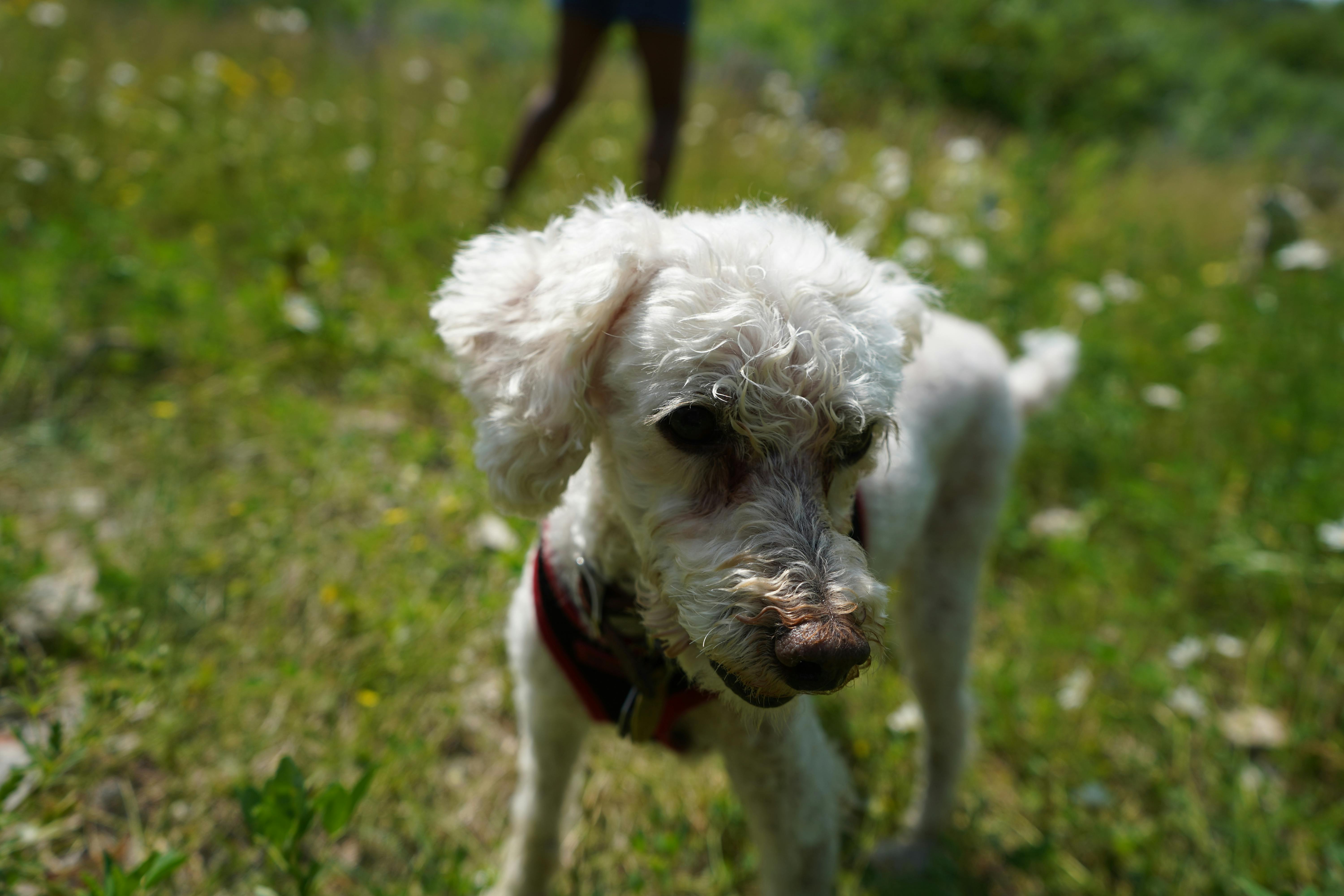 Kyle Killam · Photography