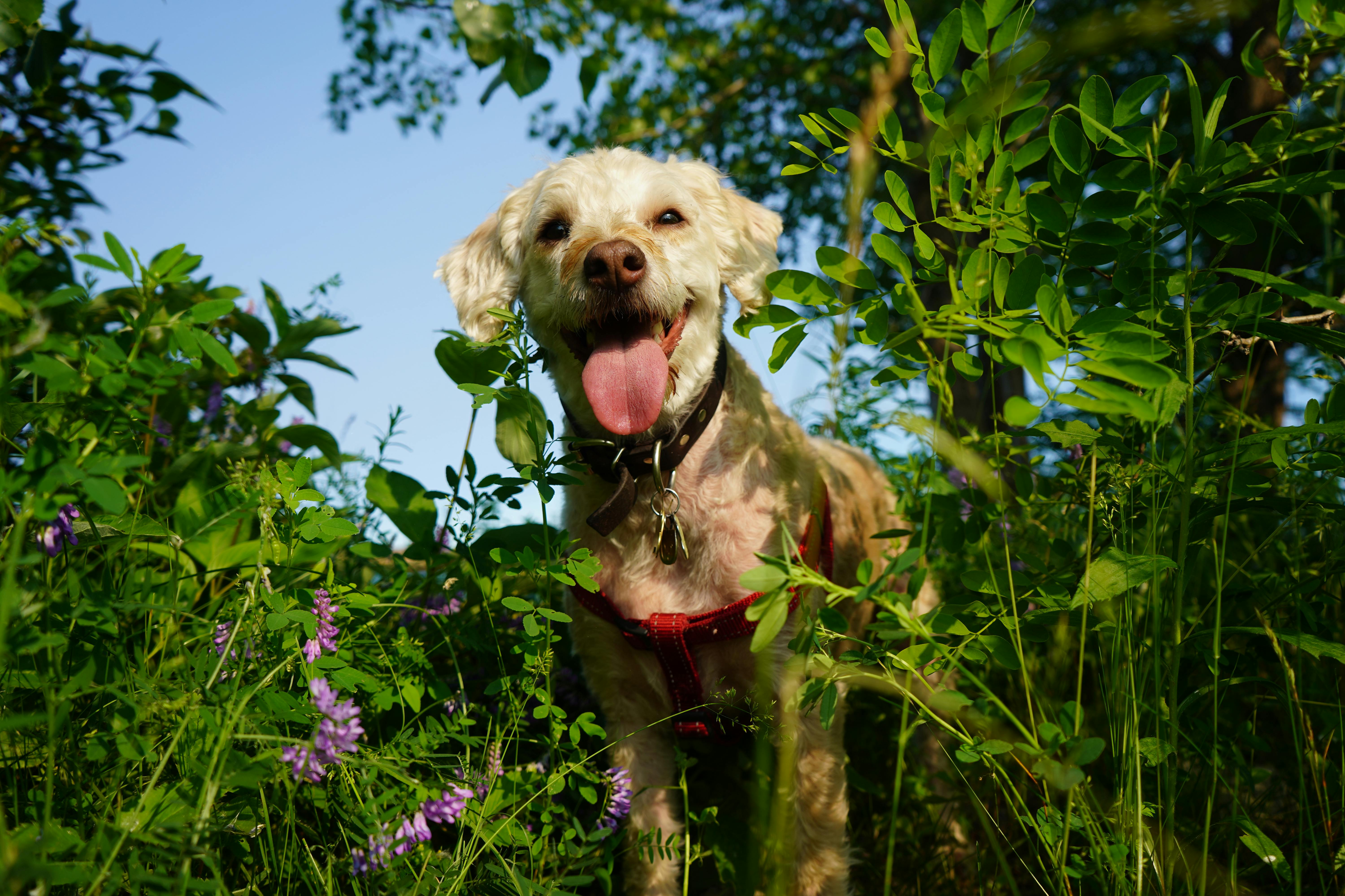 Kyle Killam - Photography