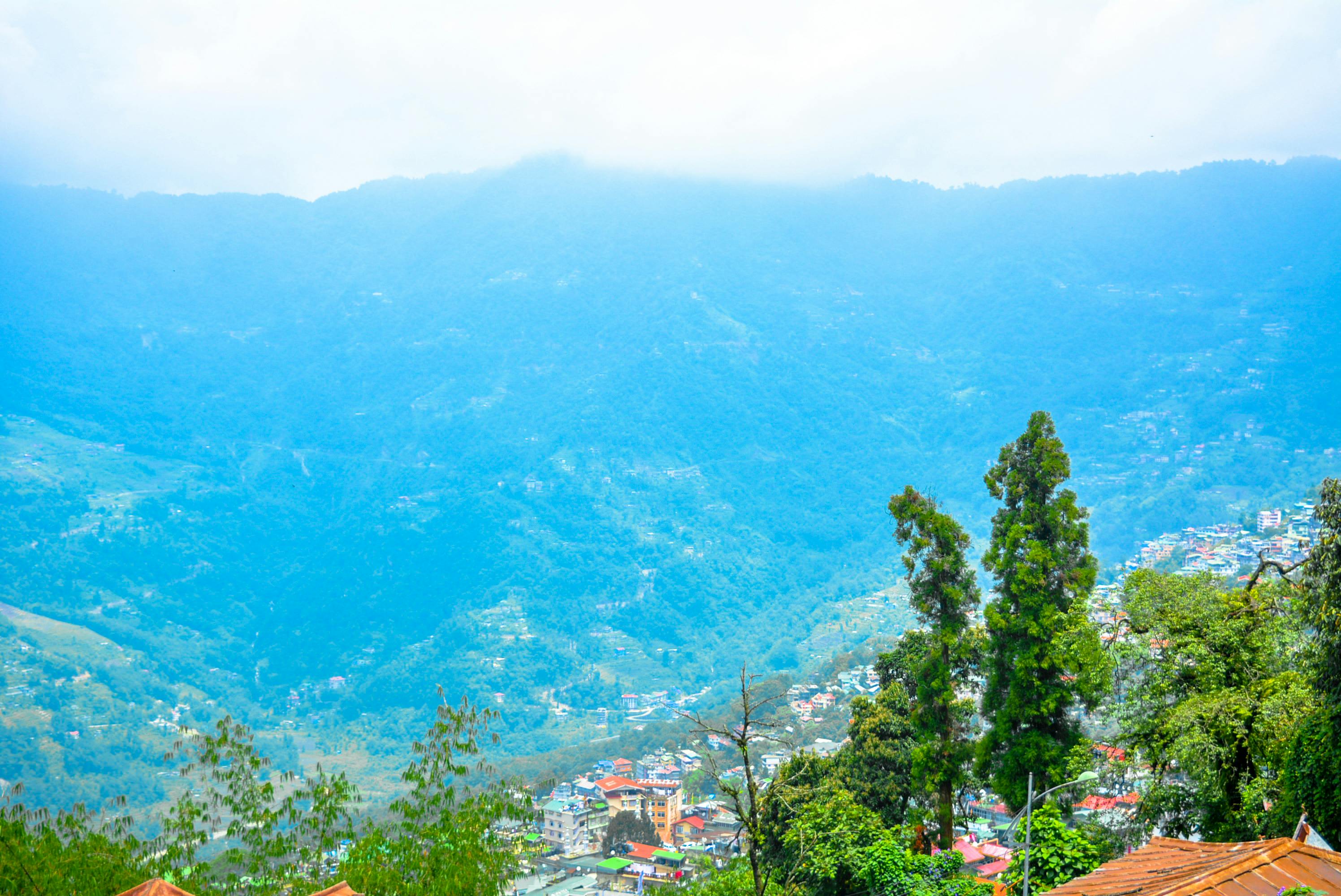 Anirban Ghosh - 摄影