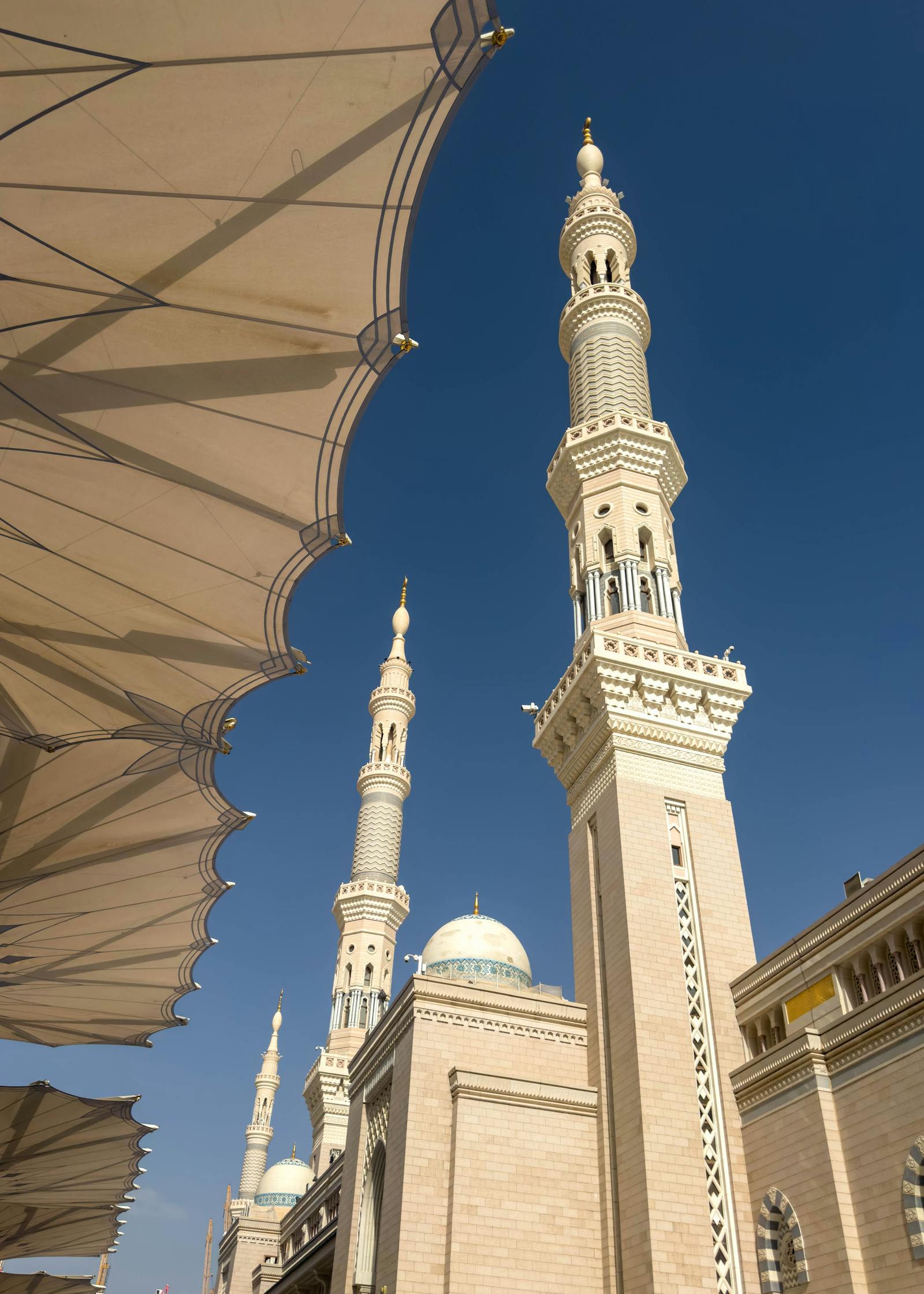 The Prophet's Mosque Photos, Download The BEST Free The Prophet's ...