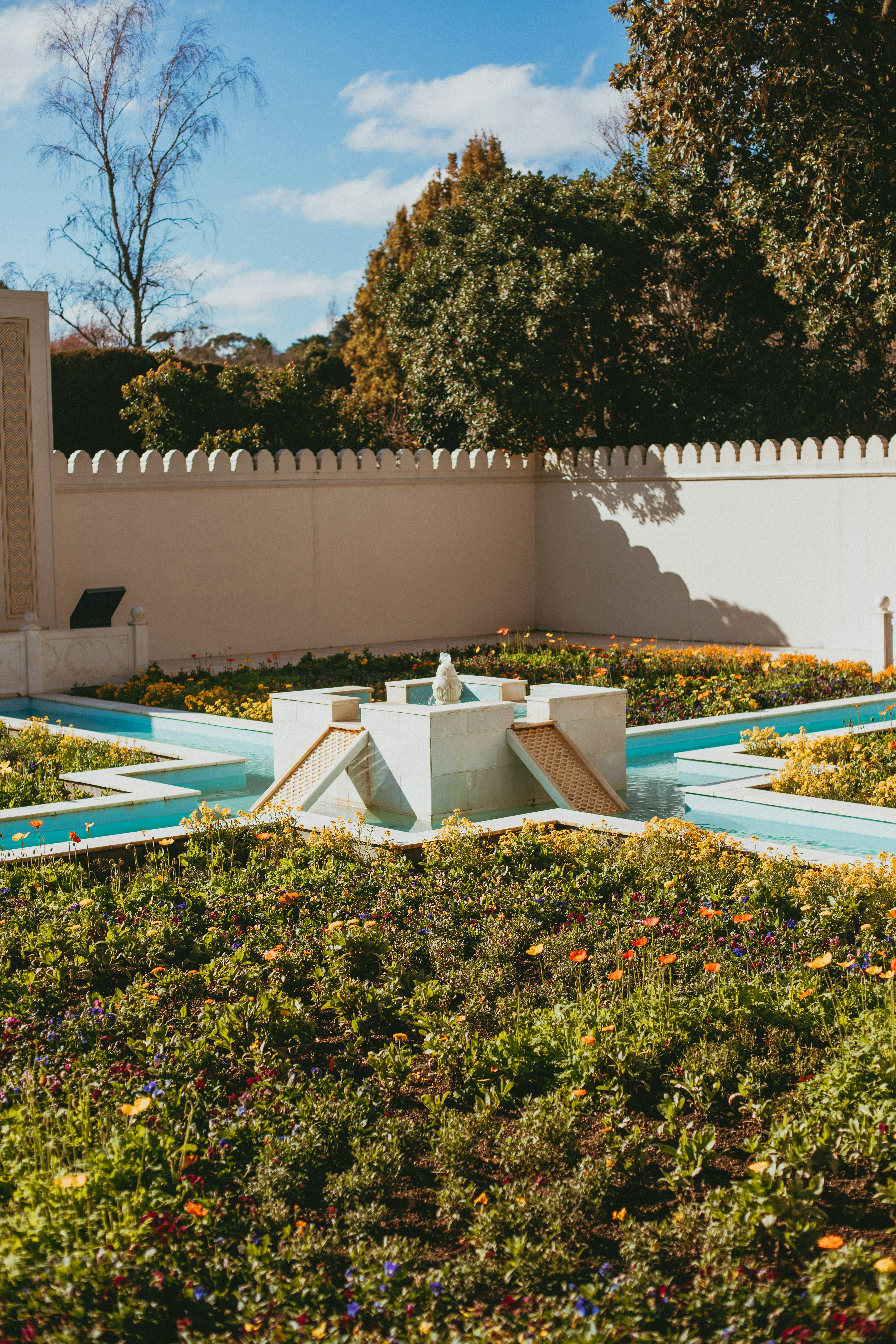 Baghe Photos, Download The BEST Free Baghe Stock Photos & HD Images