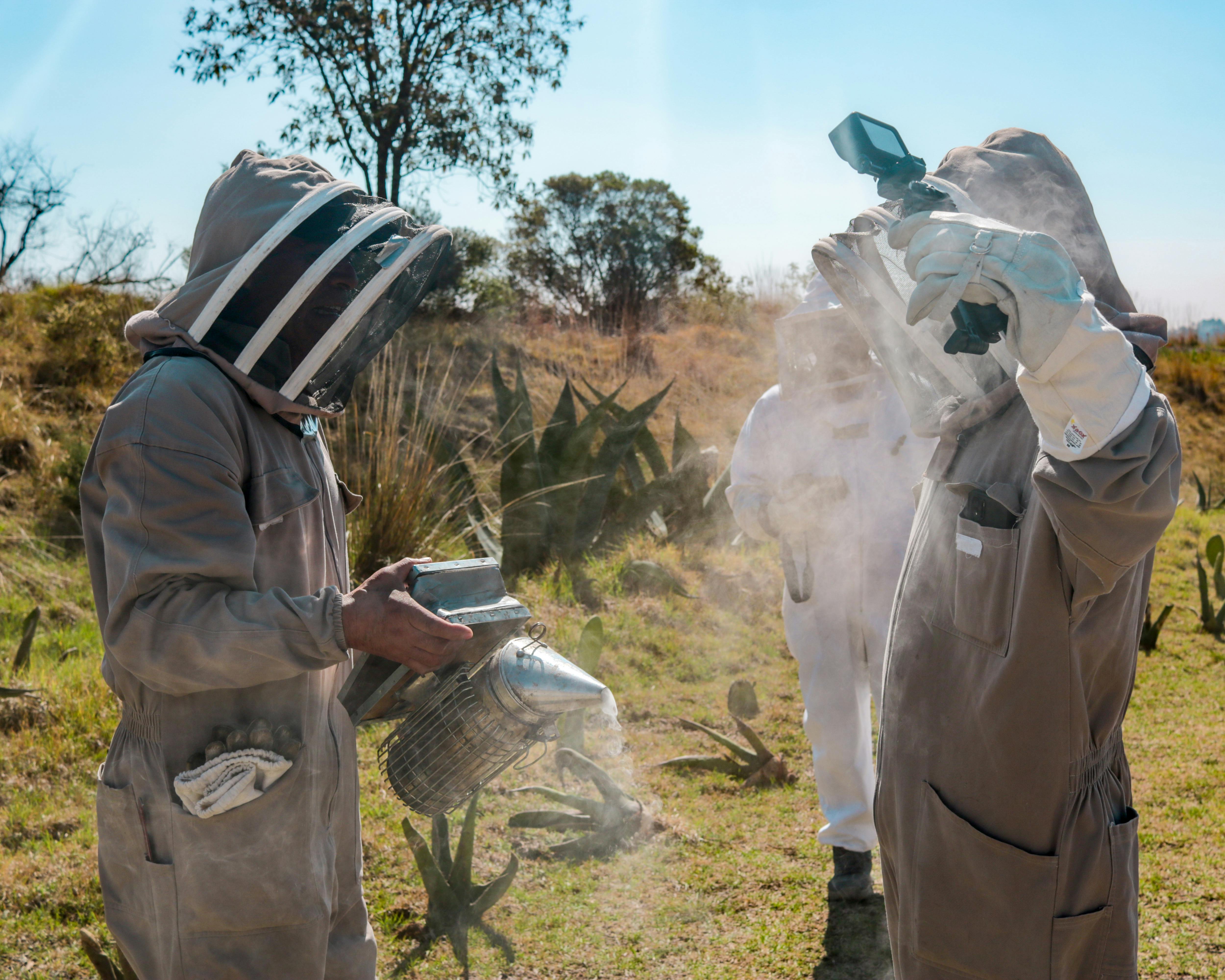 Two beekeepers in protective gear are spraying a bee · Free Stock Photo