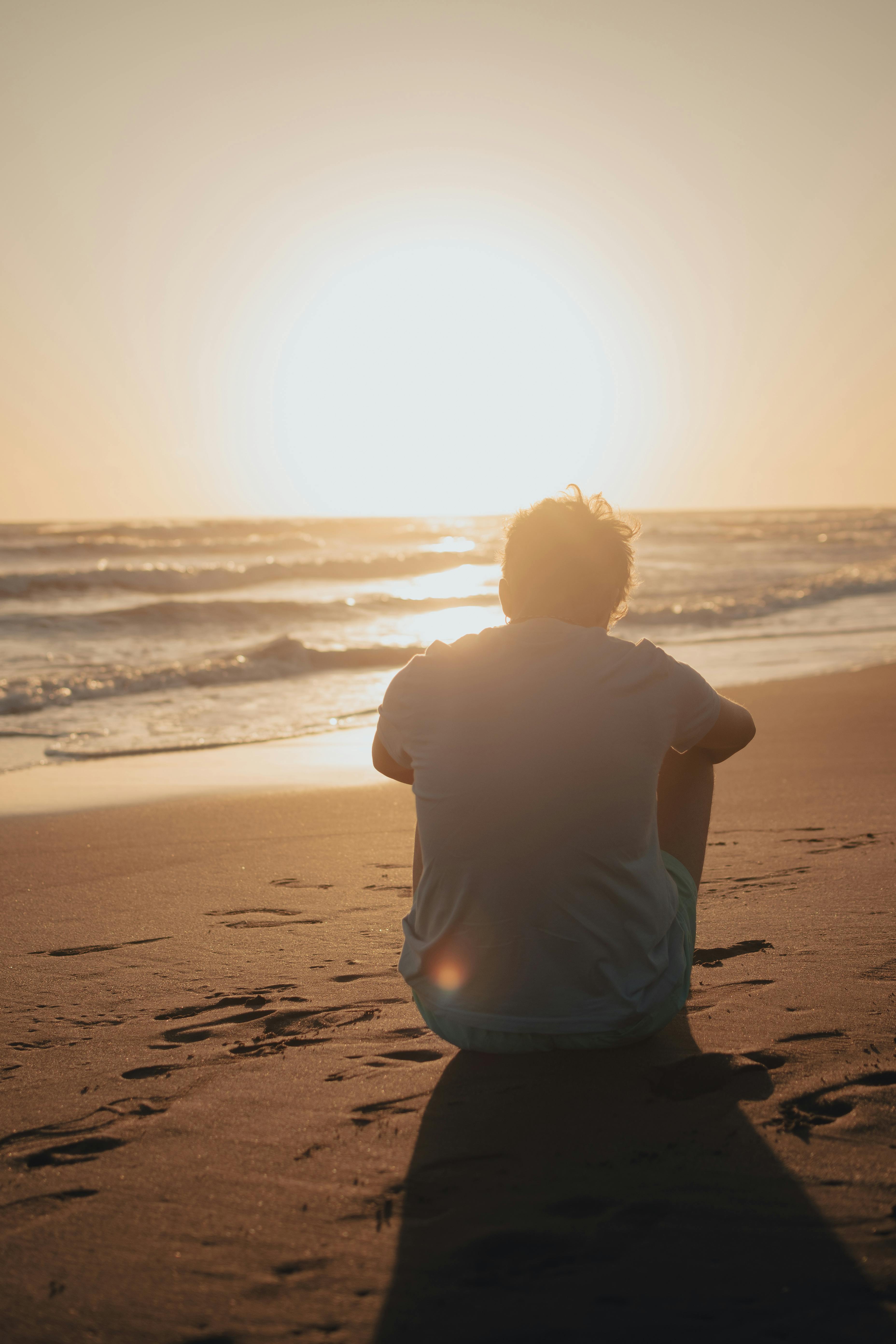 Back View of a Man Sitting on the Beach at Sunset · Free Stock Photo
