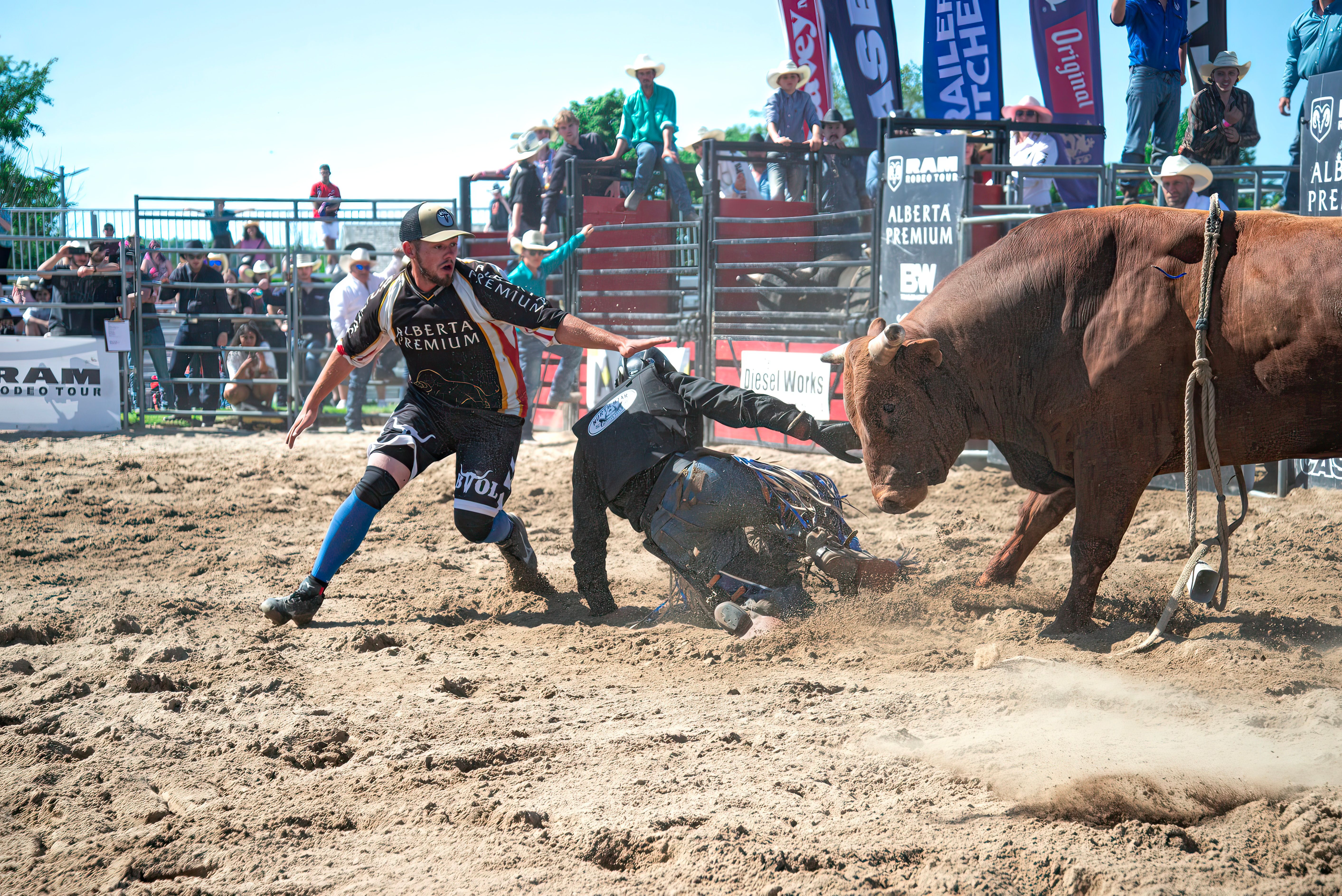 Photo of Men and a Bull at a Rodeo · Free Stock Photo