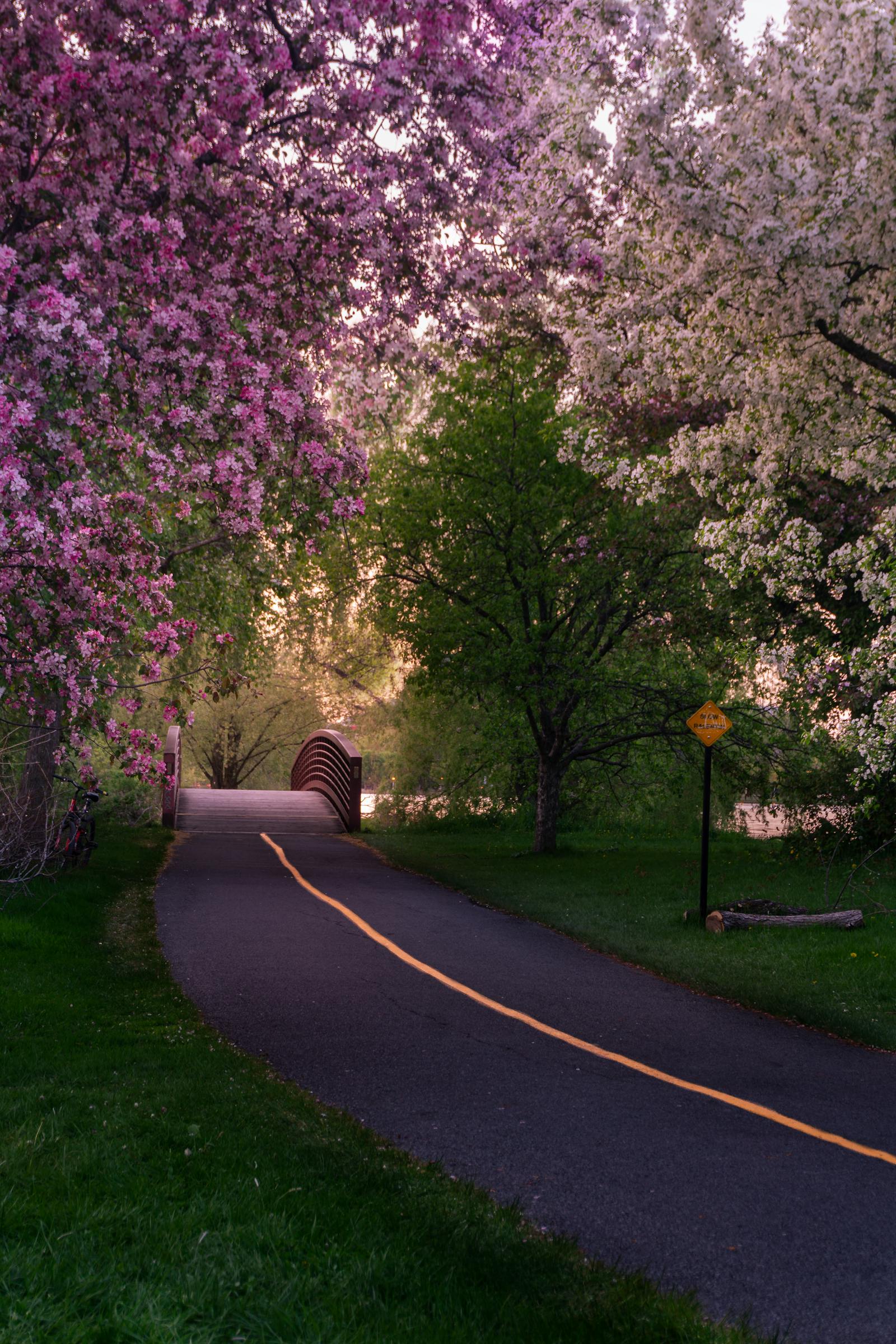 Nature Spring Photos, Download The BEST Free Nature Spring Stock Photos ...