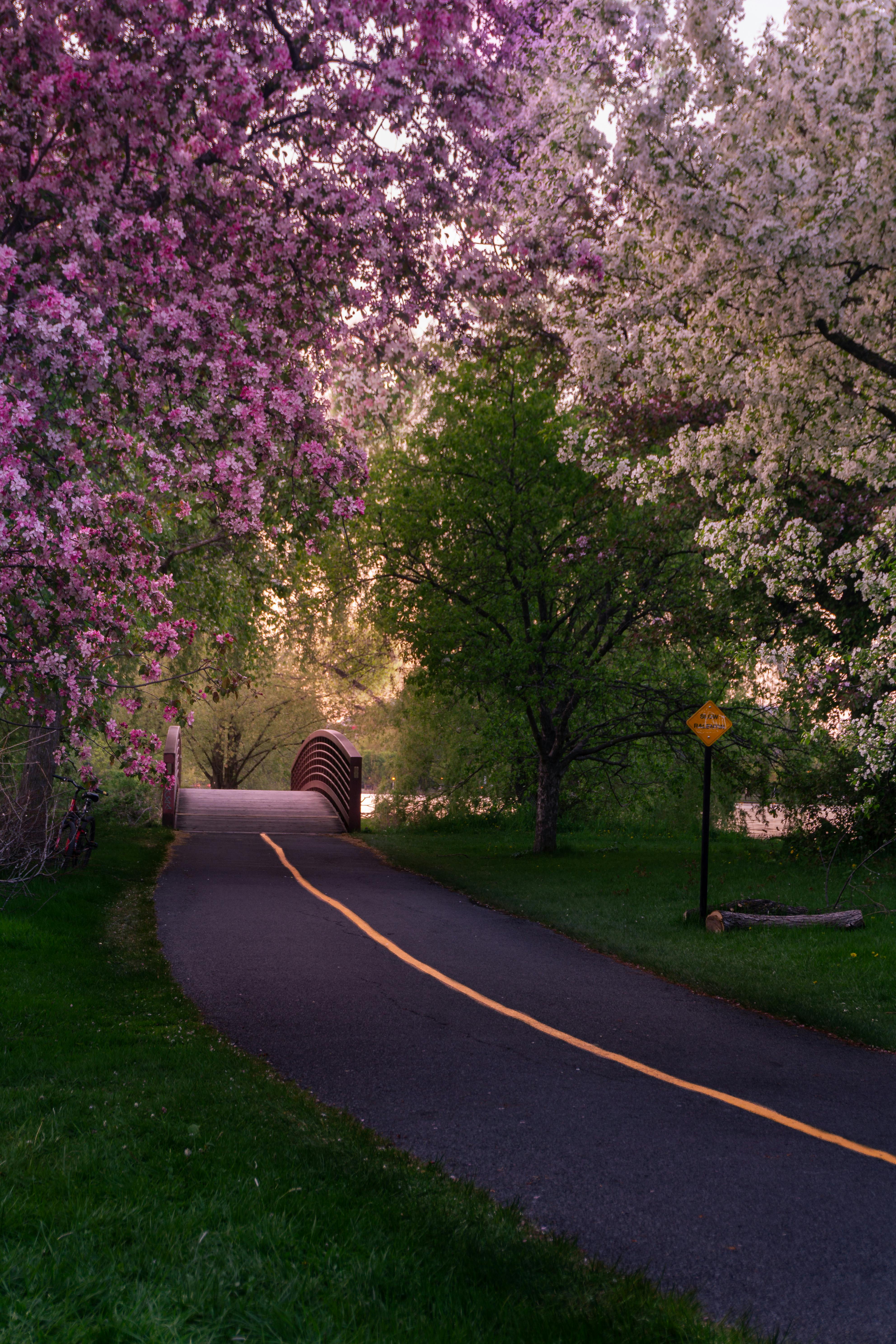 Spring Season · Free Stock Photo