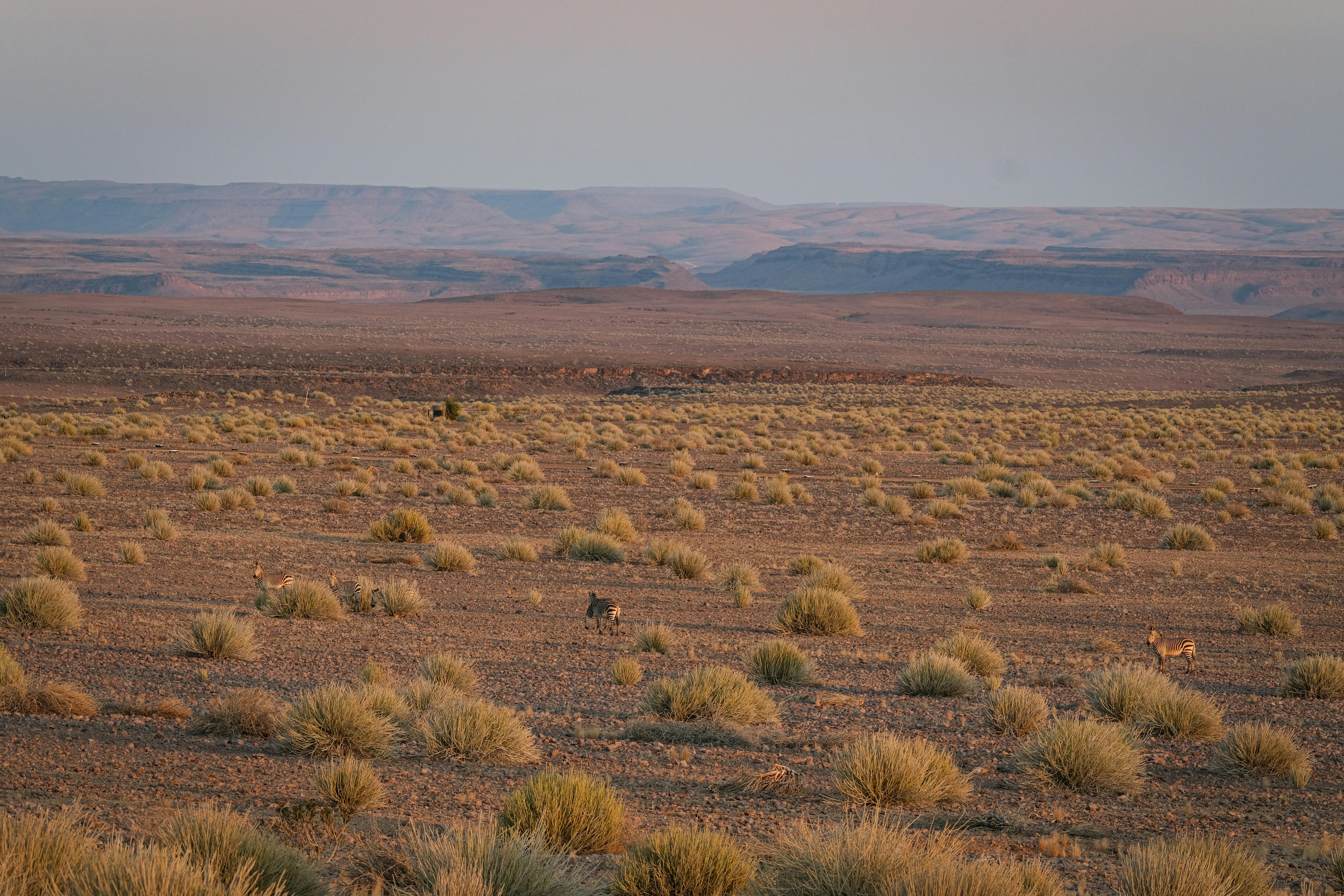 Essential Plains Photos, Download The BEST Free Essential Plains Stock ...