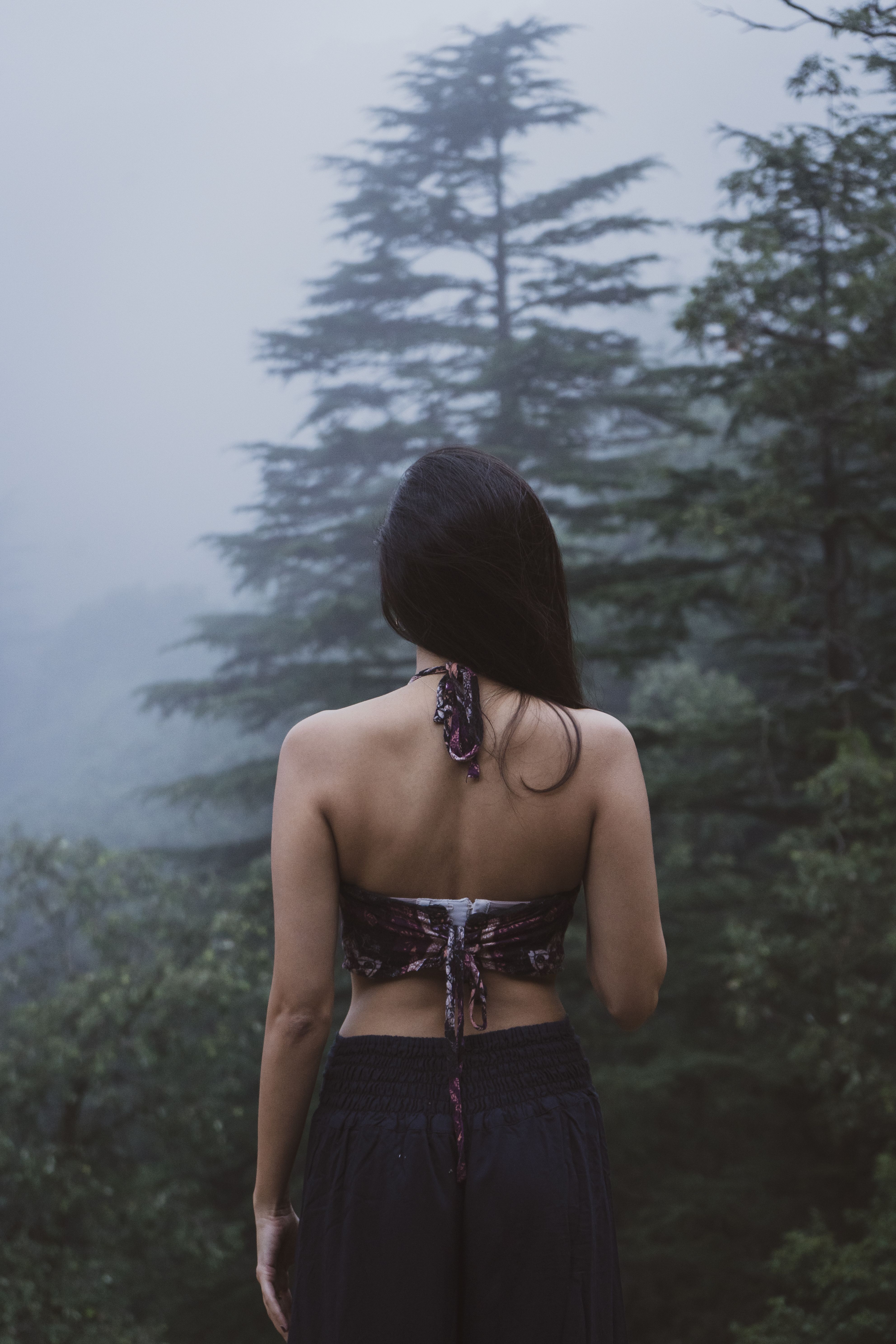 Back View of a Woman Standing in a Foggy Forest · Free Stock Photo