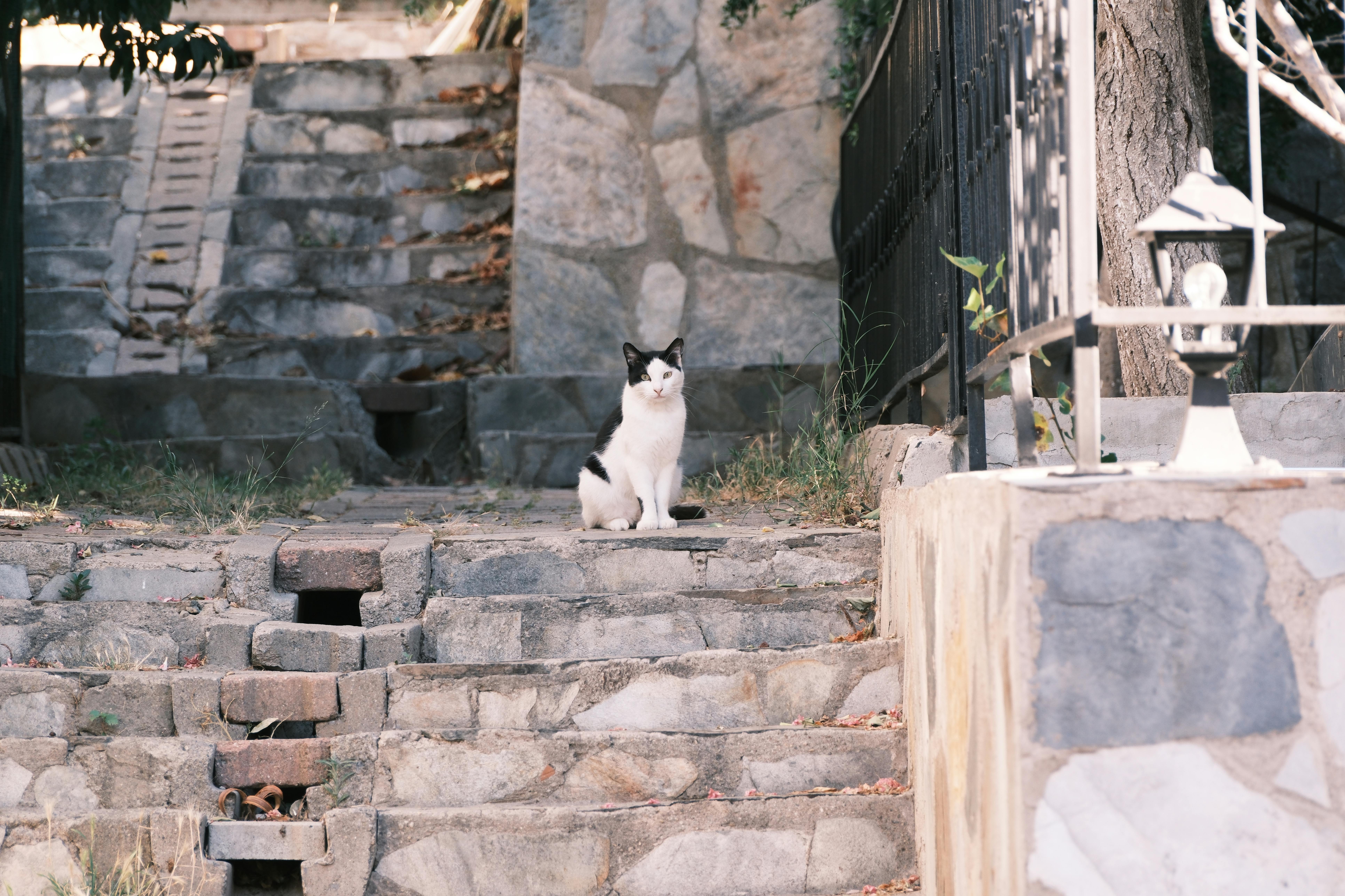 Stepping Outside Photos, Download The BEST Free Stepping Outside Stock ...