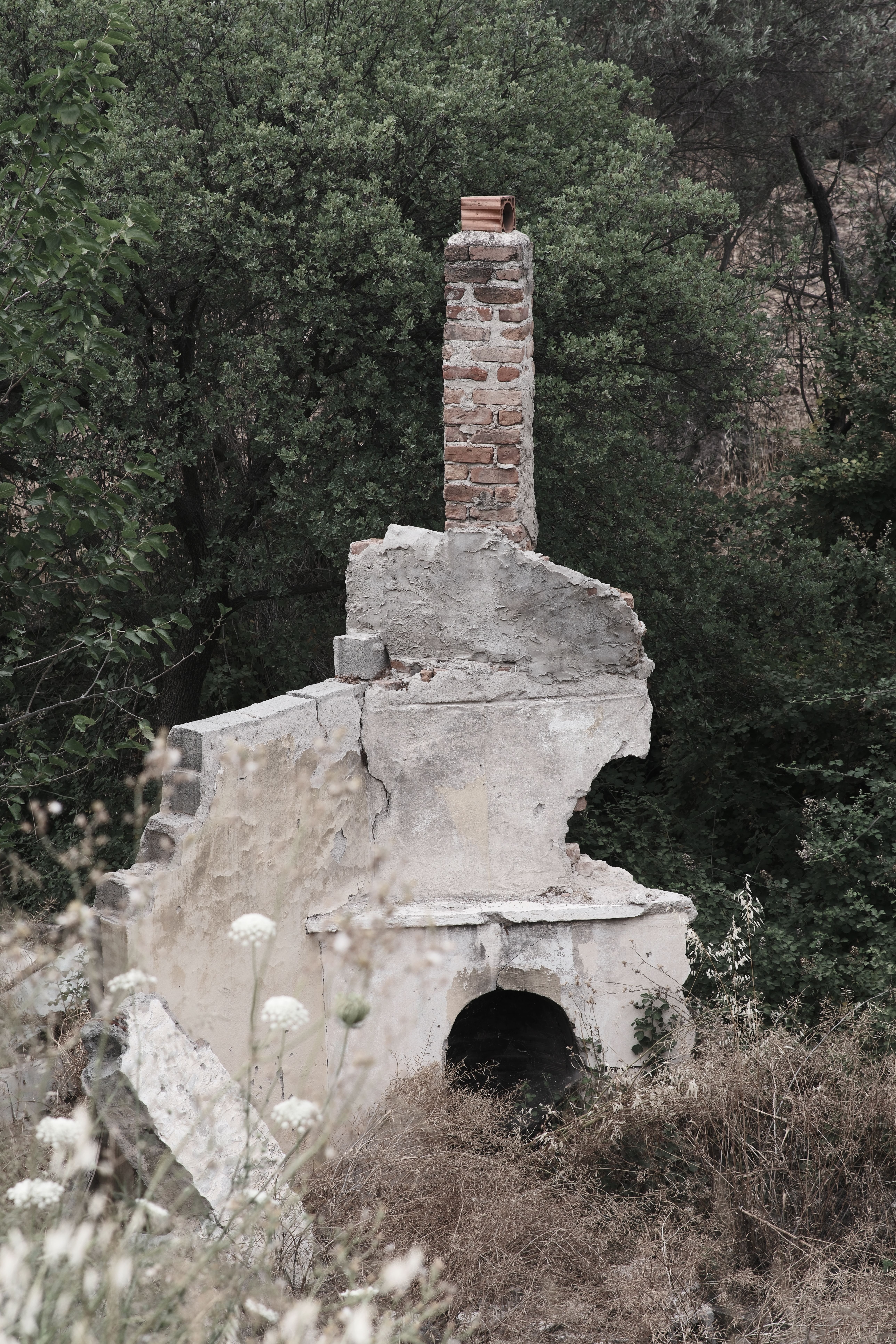 An old brick chimney with a tree growing out of it · Free Stock Photo