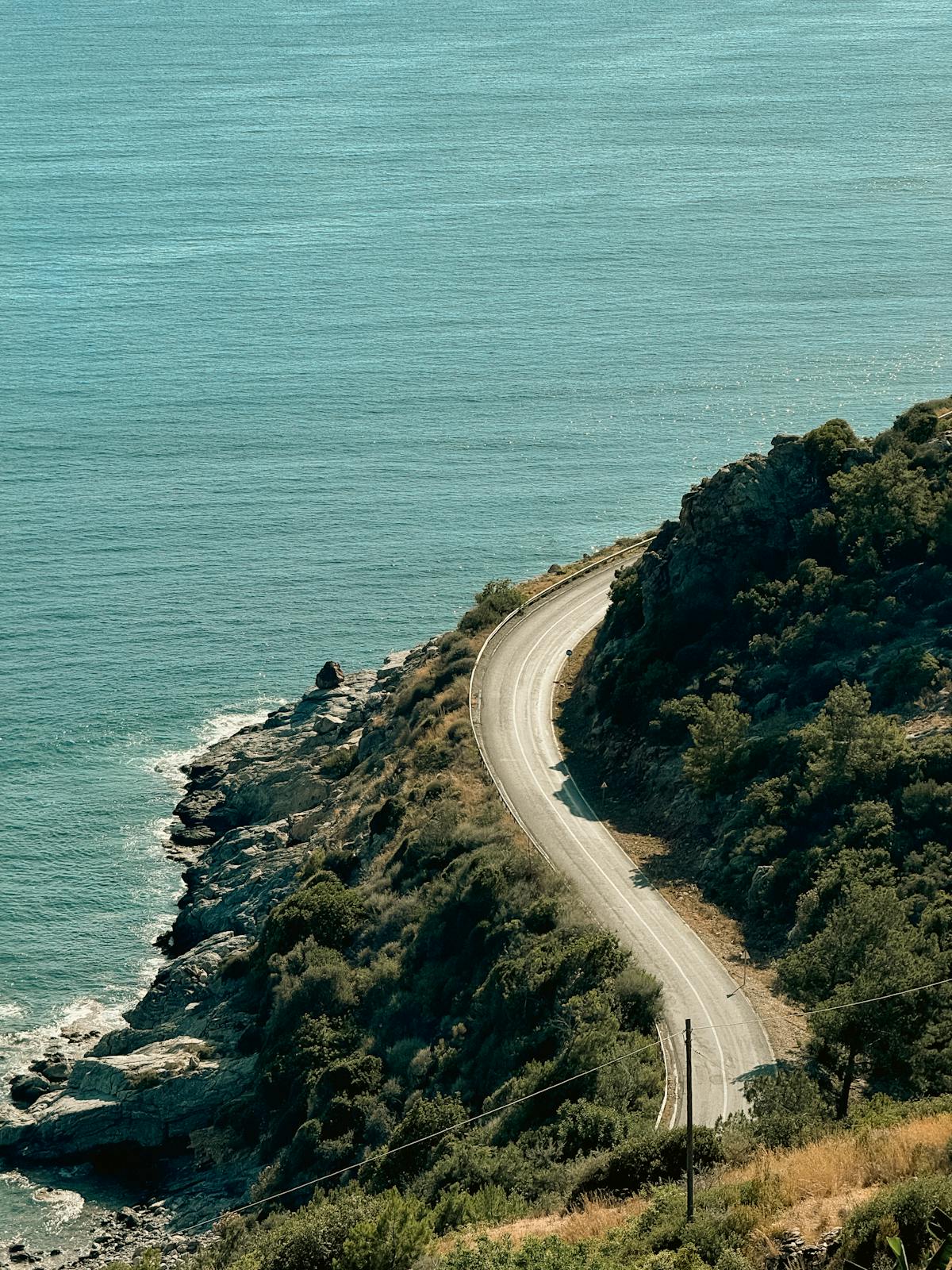 French Road Trees Photos, Download The BEST Free French Road Trees ...