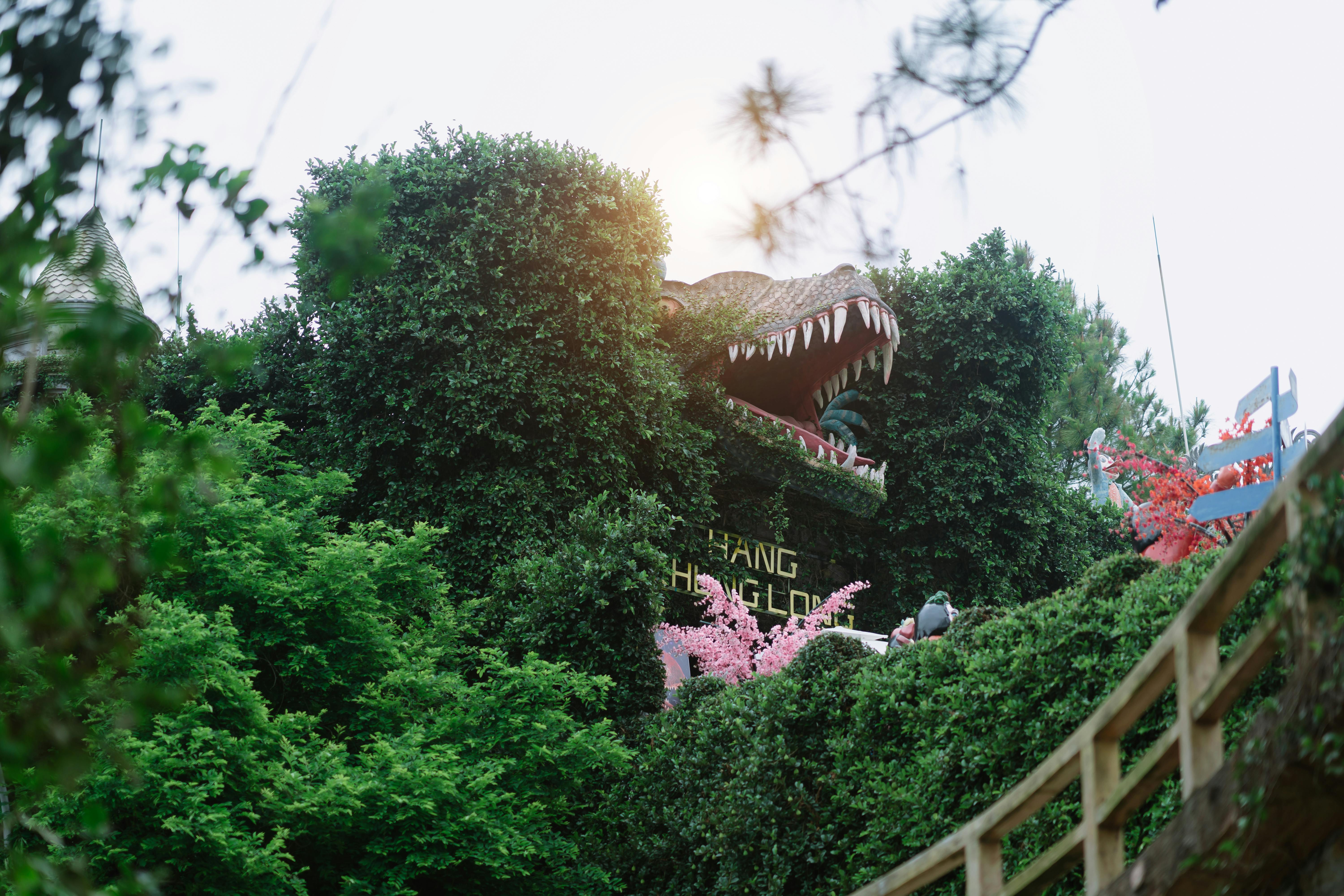 Open Maw of Dinosaur in Park · Free Stock Photo
