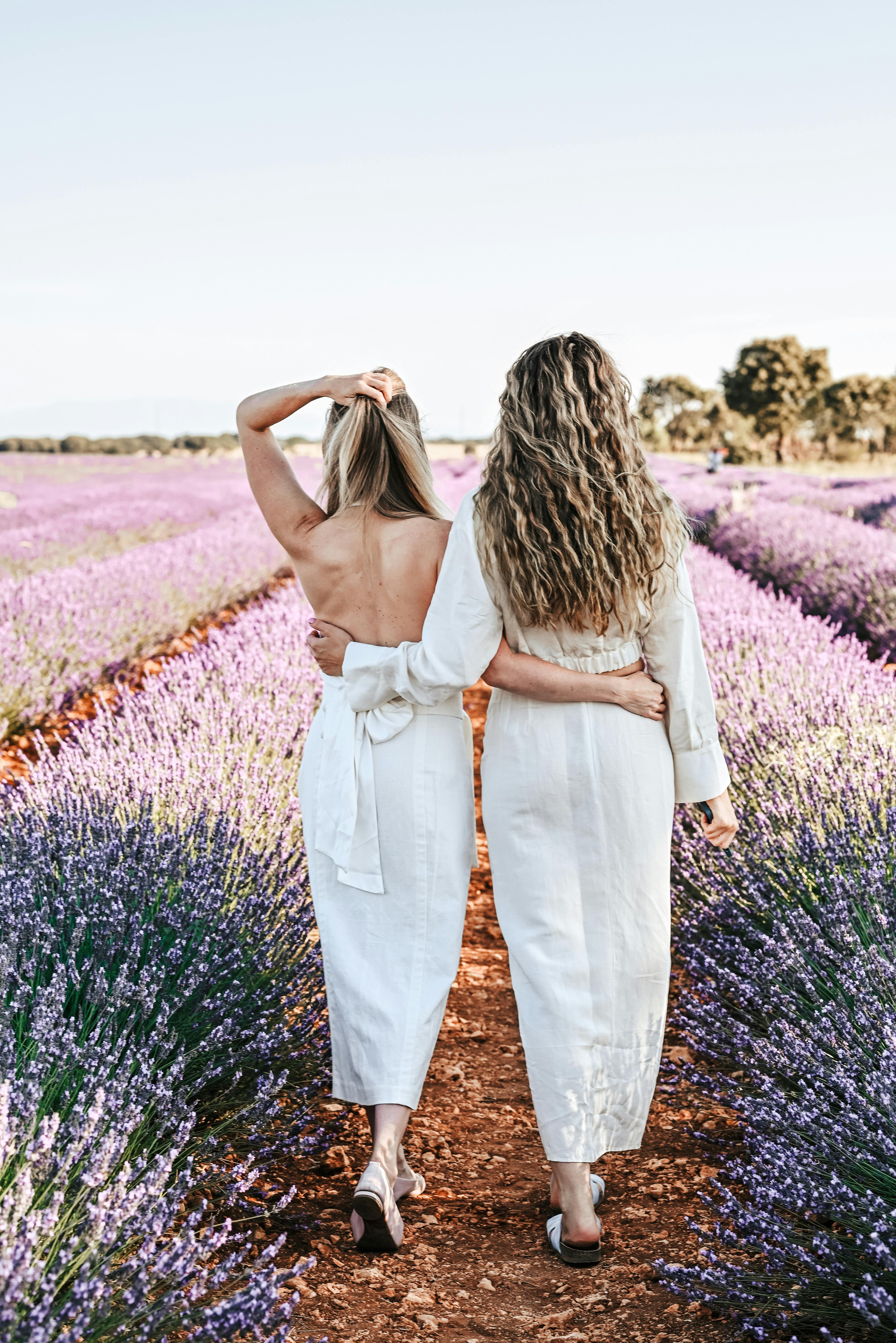 Pantone Lavender Photos, Download The BEST Free Pantone Lavender Stock ...