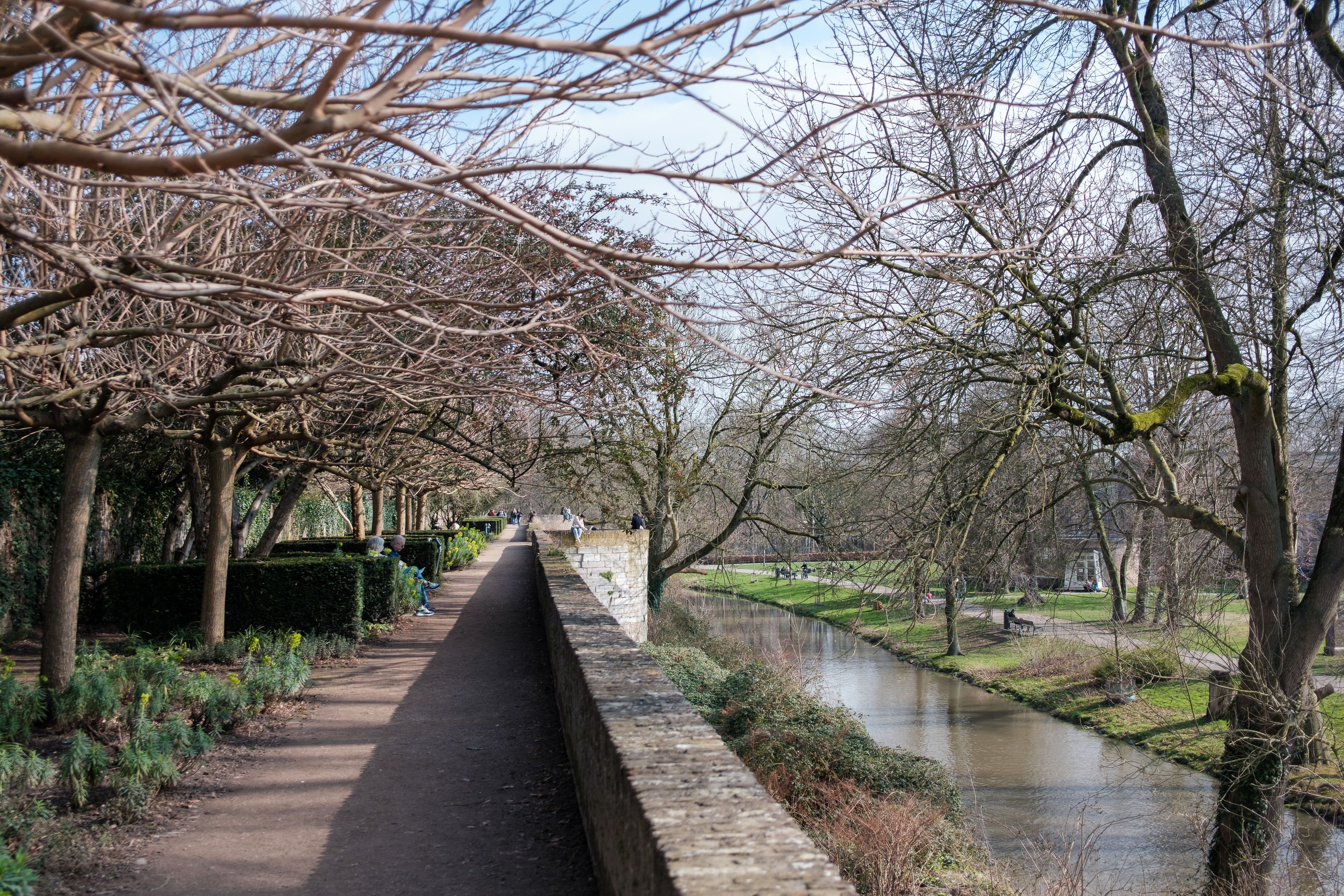 A walkway along a river with trees and grass · Free Stock Photo