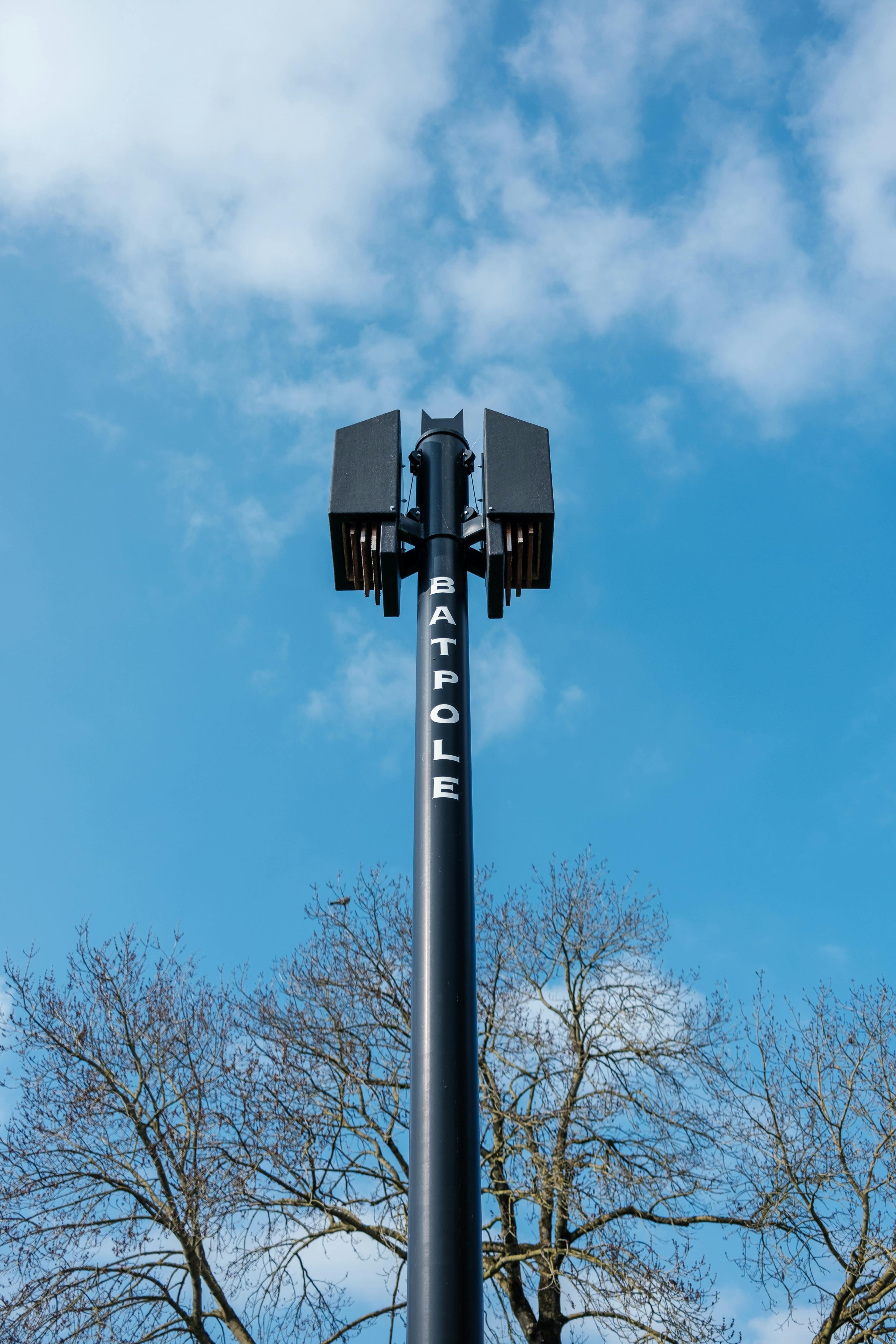 Batpole Pole in Park with Trees · Free Stock Photo