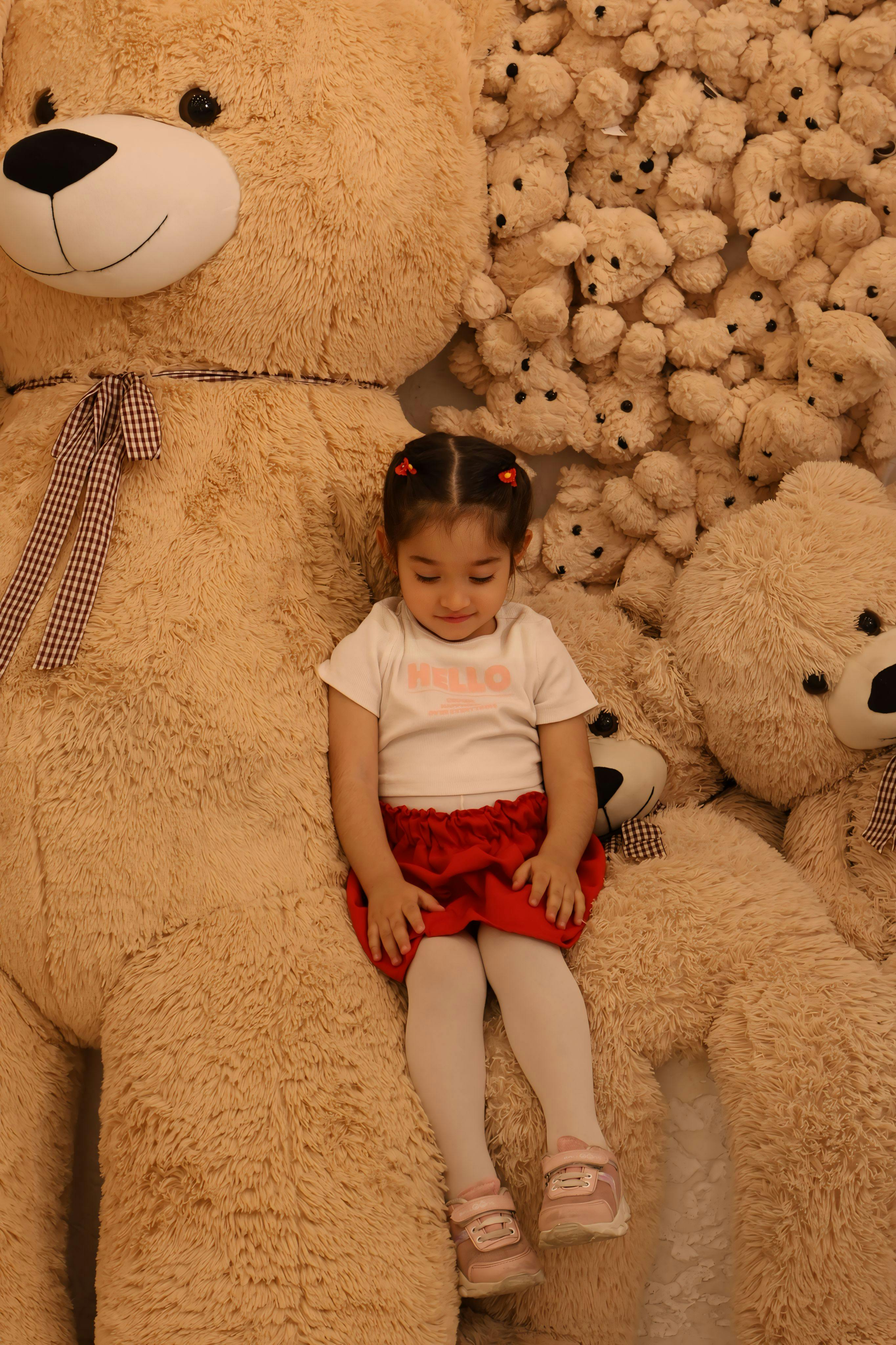 Big Teddy Photos, Download The BEST Free Big Teddy Stock Photos & HD Images