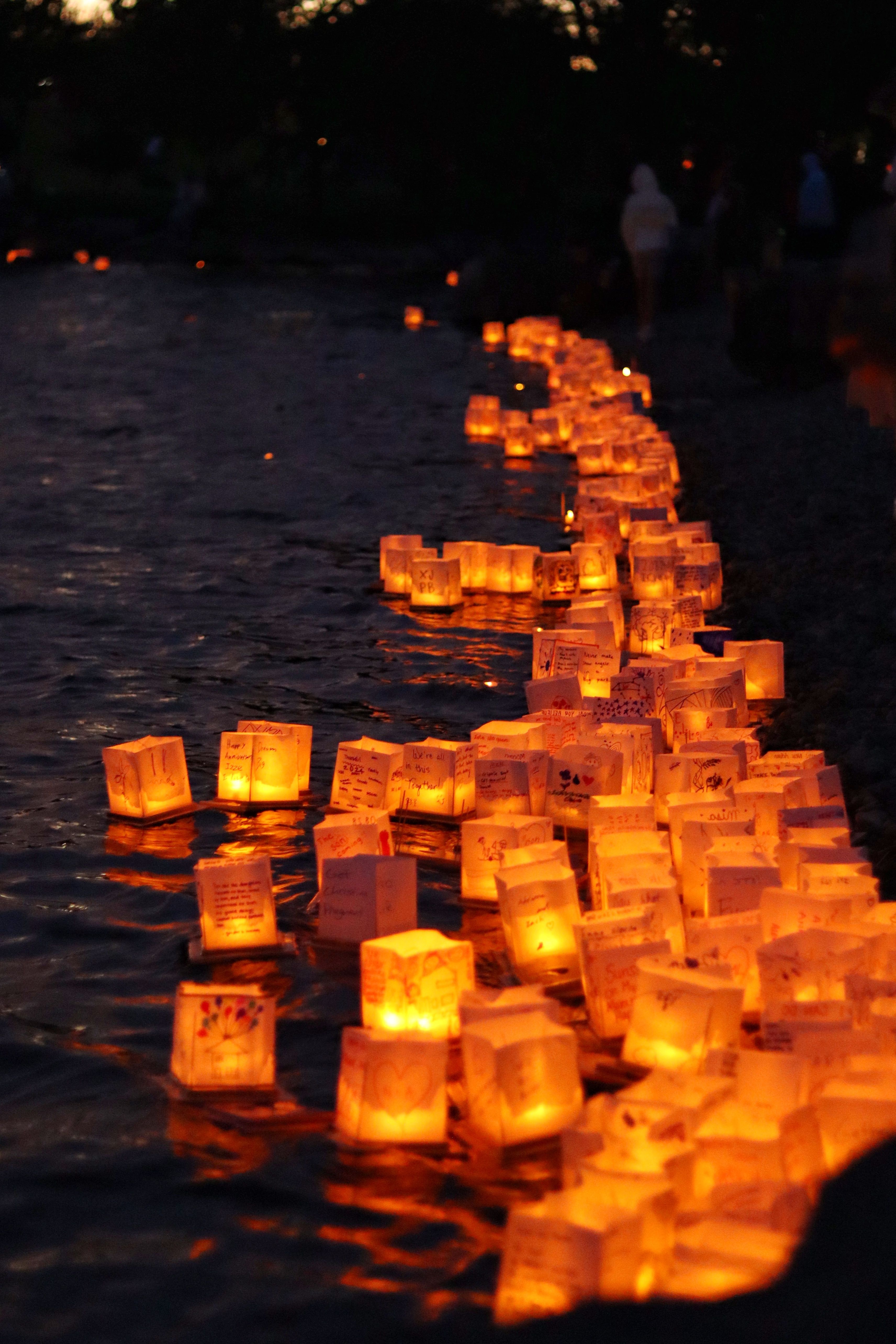 Orange Lit Lanterns Floating on Water · Free Stock Photo