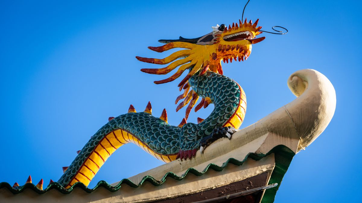 6,000+ Best Dragon Photos · 100% Free Download · Pexels Stock Photos