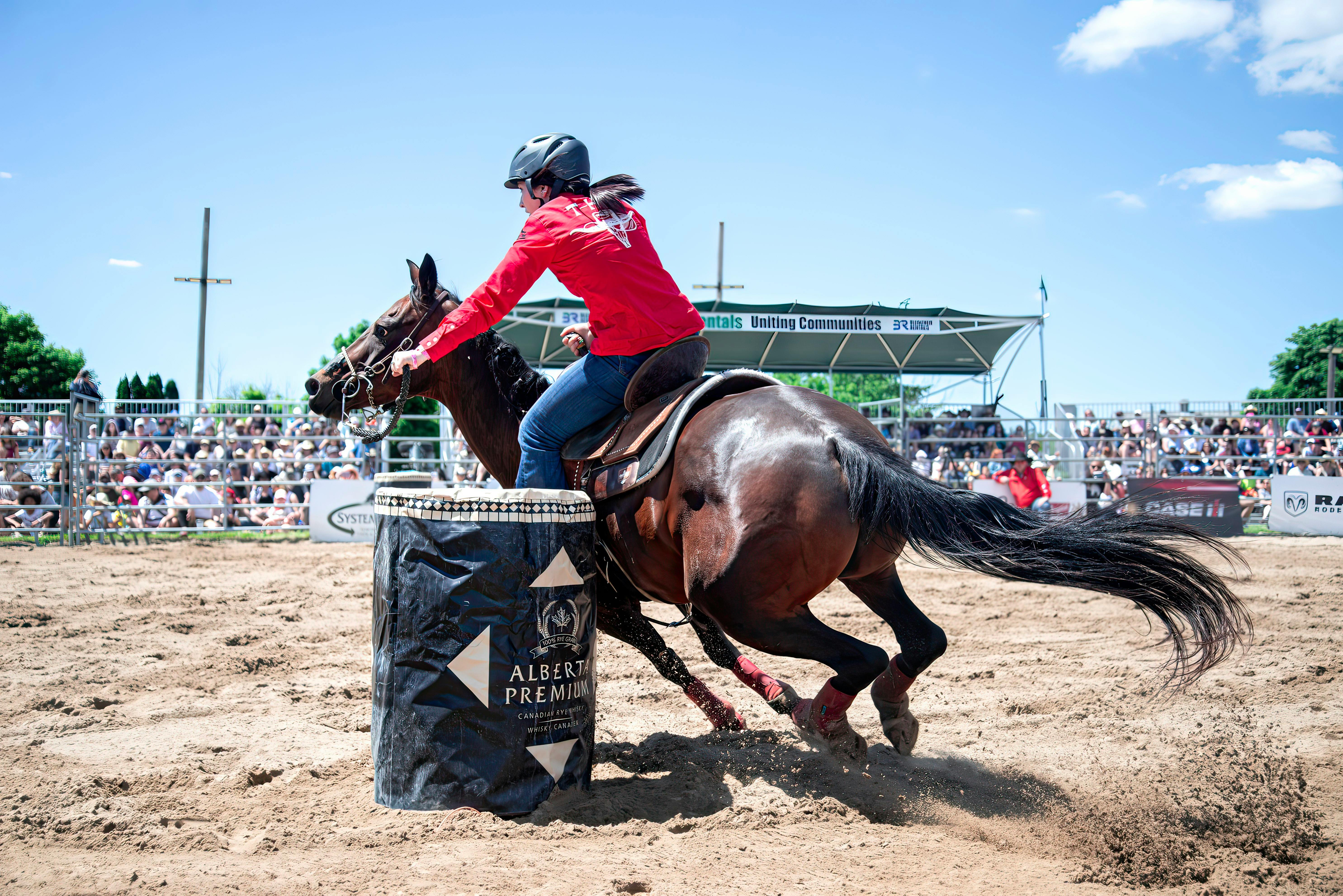 rodeo · Free Stock Photo