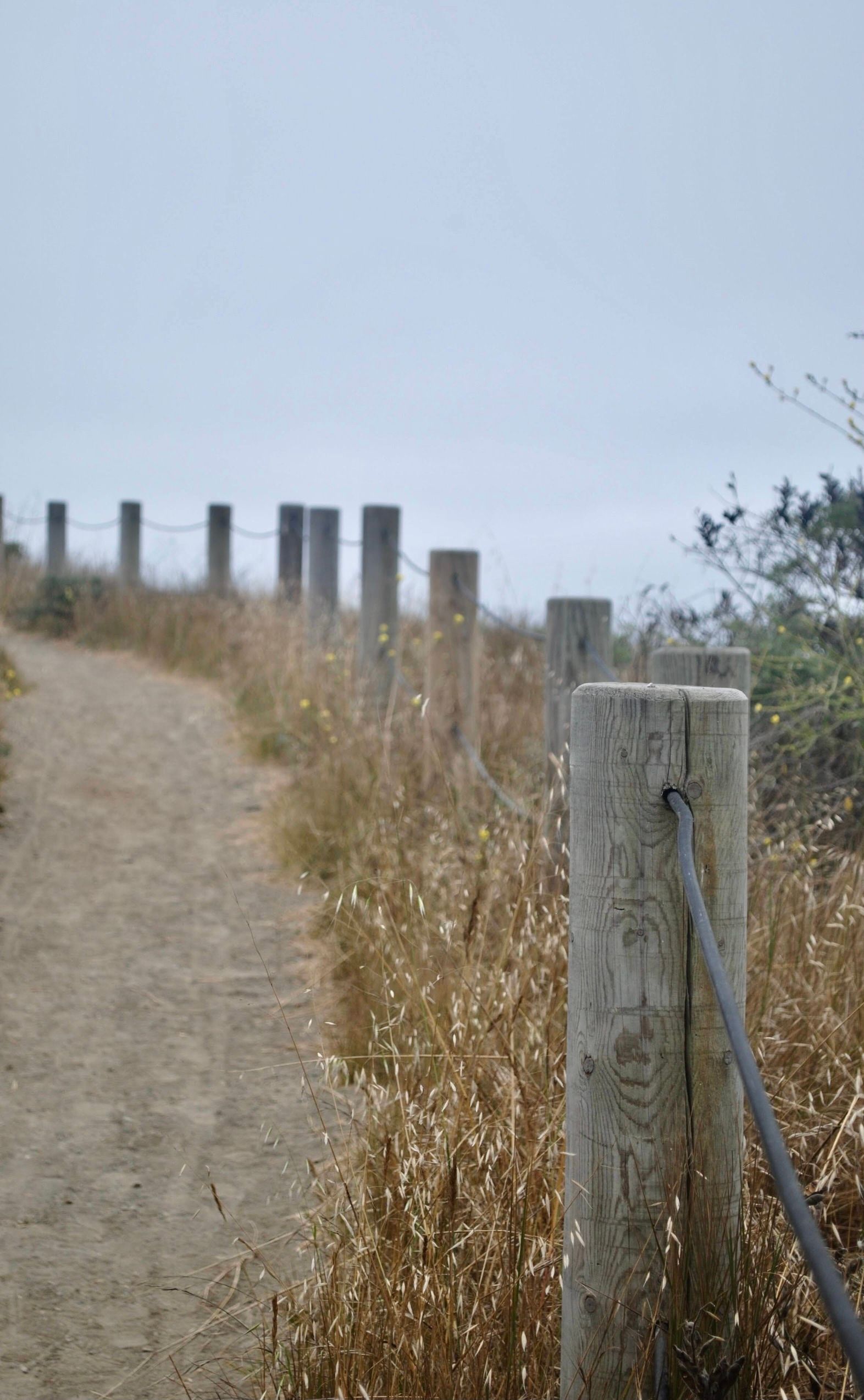 Wooden Poles Railing on Dirt Path · Free Stock Photo