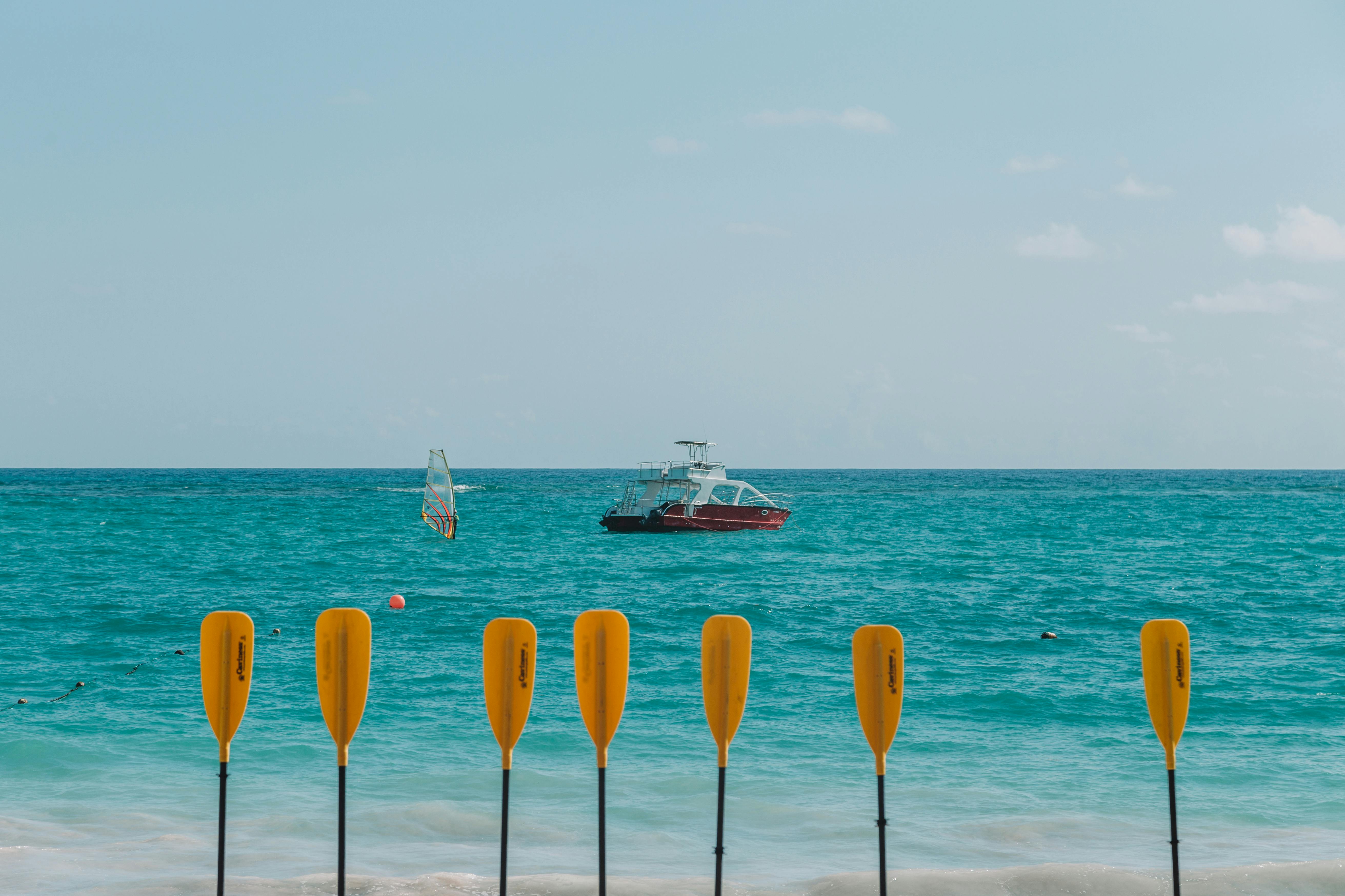 Lined Up Paddles on Sea Shore · Free Stock Photo