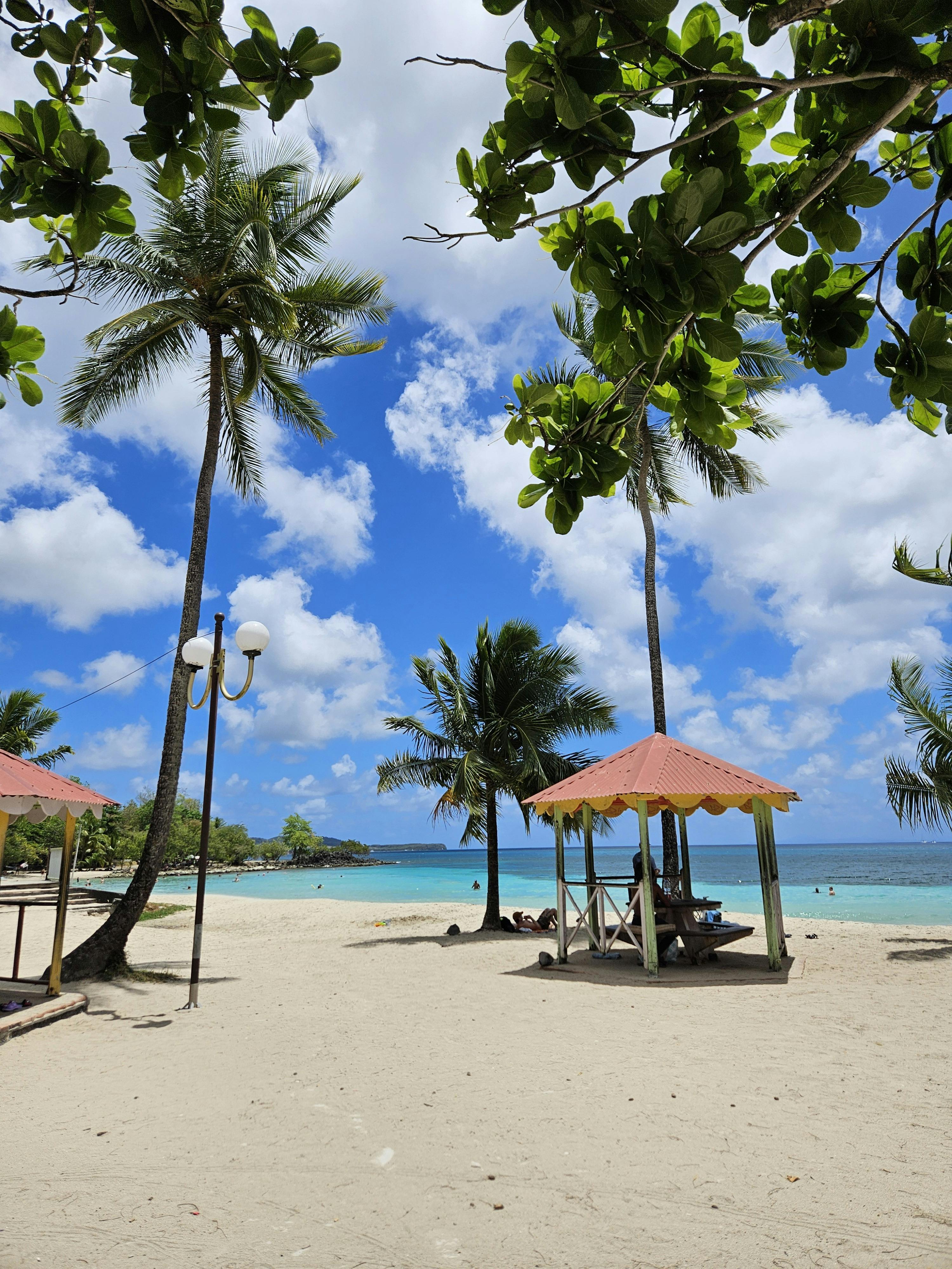 Icy Sun - Photography