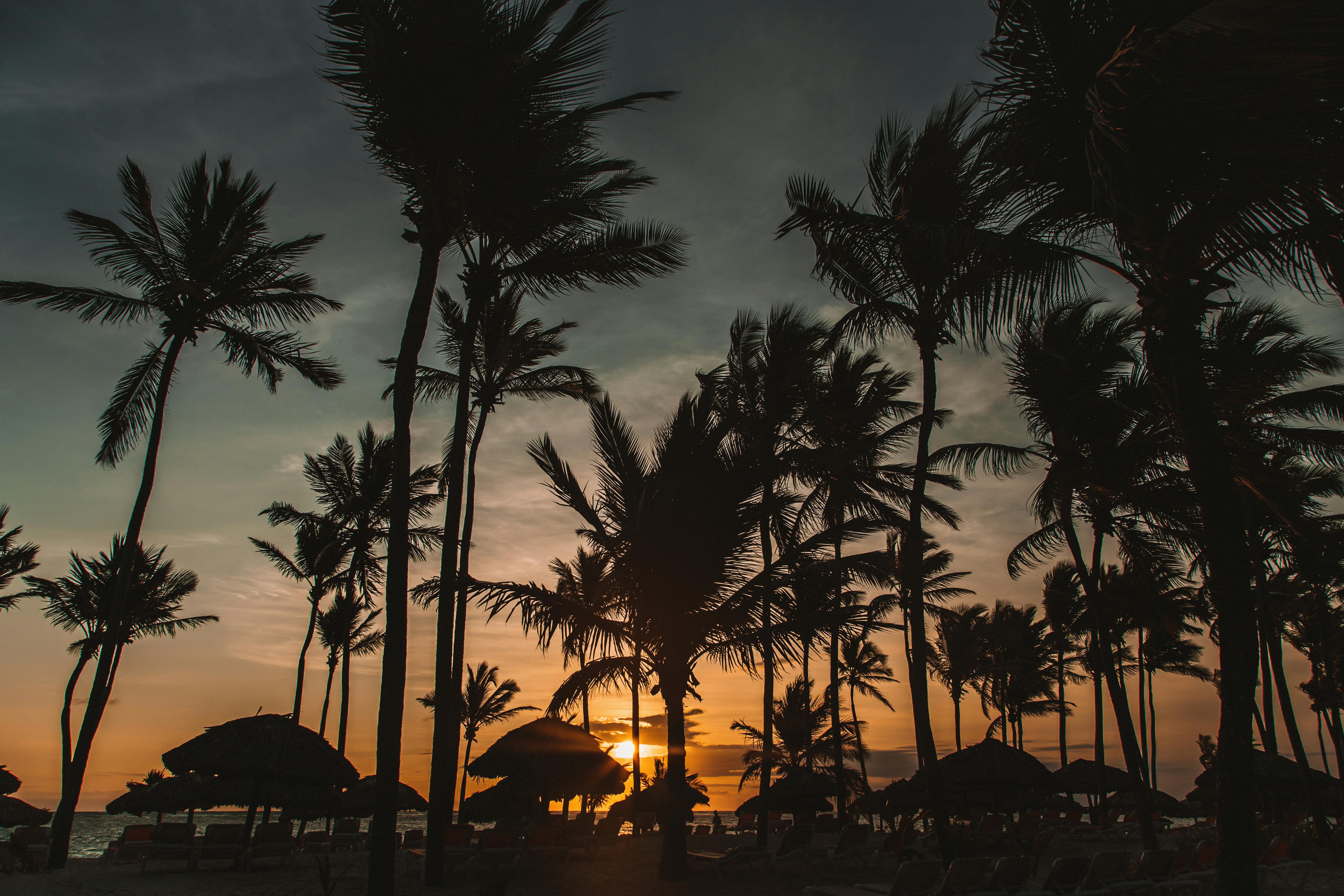 Nipa Huts Photos, Download The BEST Free Nipa Huts Stock Photos & HD Images
