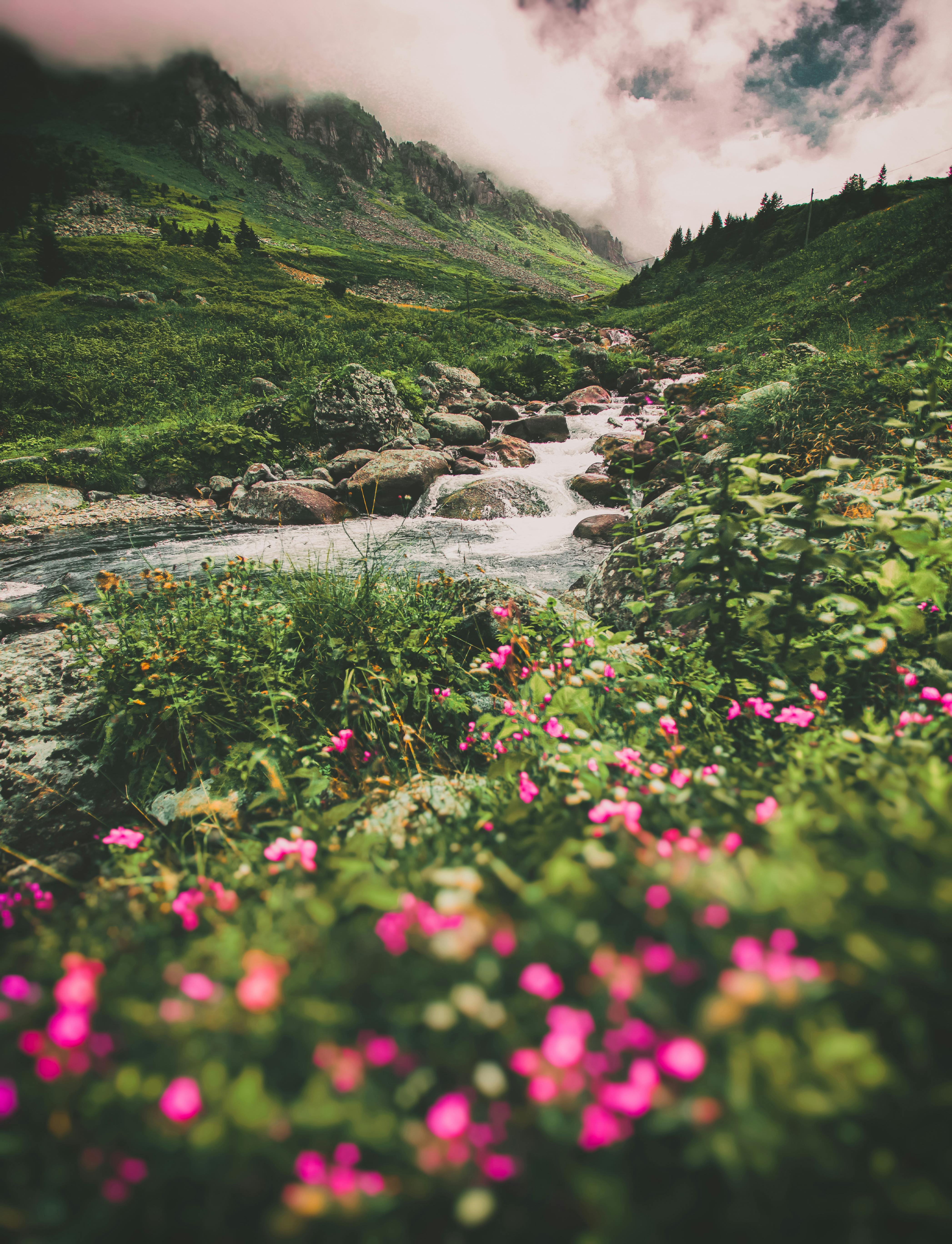 500+ Beautiful Sky Gardens Photos · Pexels · Free Stock Photos