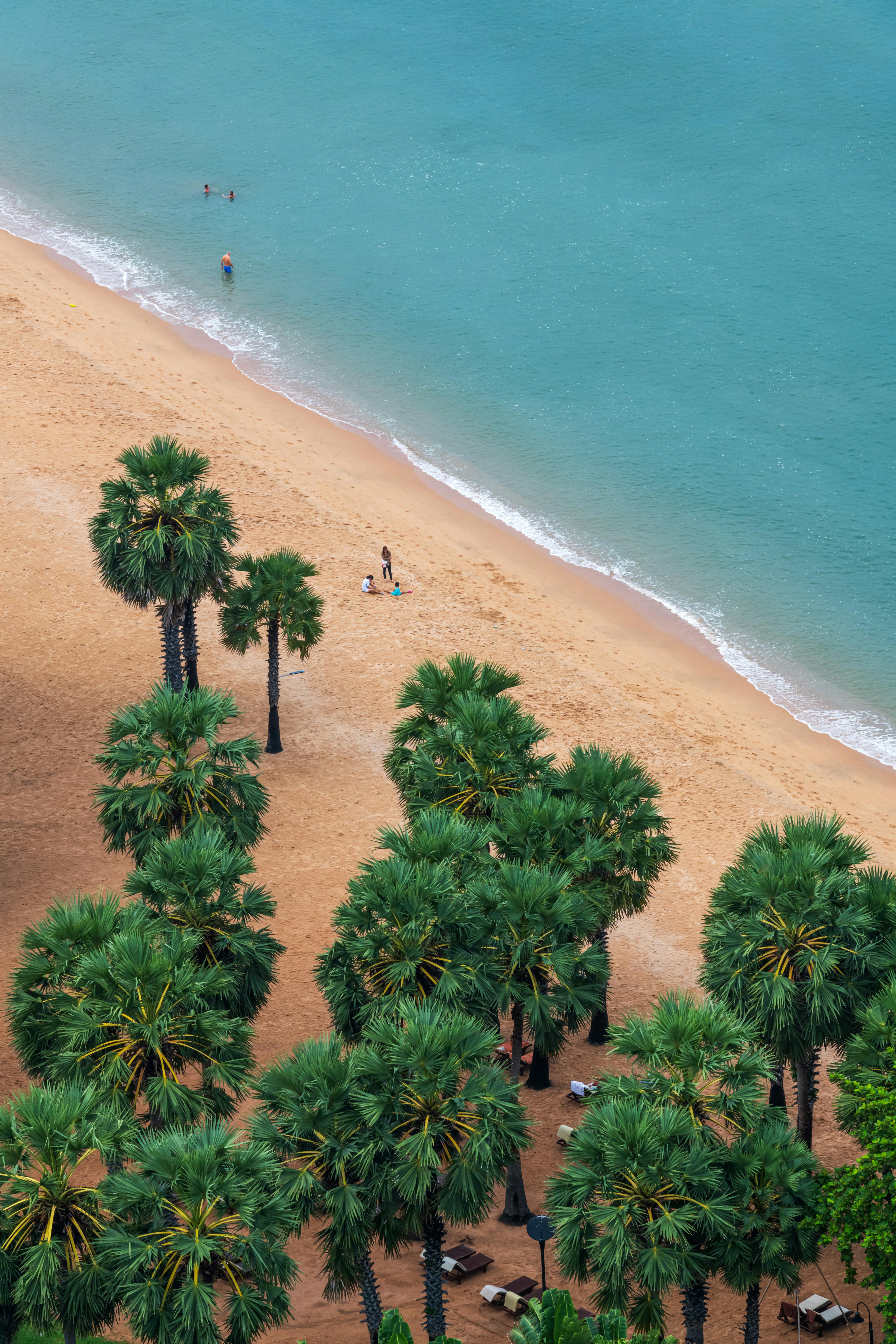 Pattaya Photos, Download The BEST Free Pattaya Stock Photos & HD Images