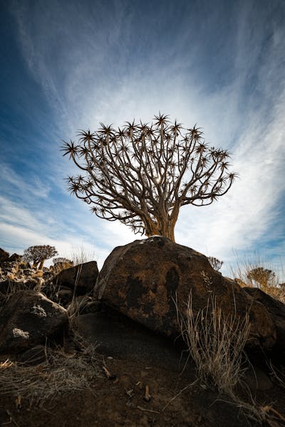 Sedimentary Rock Photos, Download The BEST Free Sedimentary Rock Stock ...