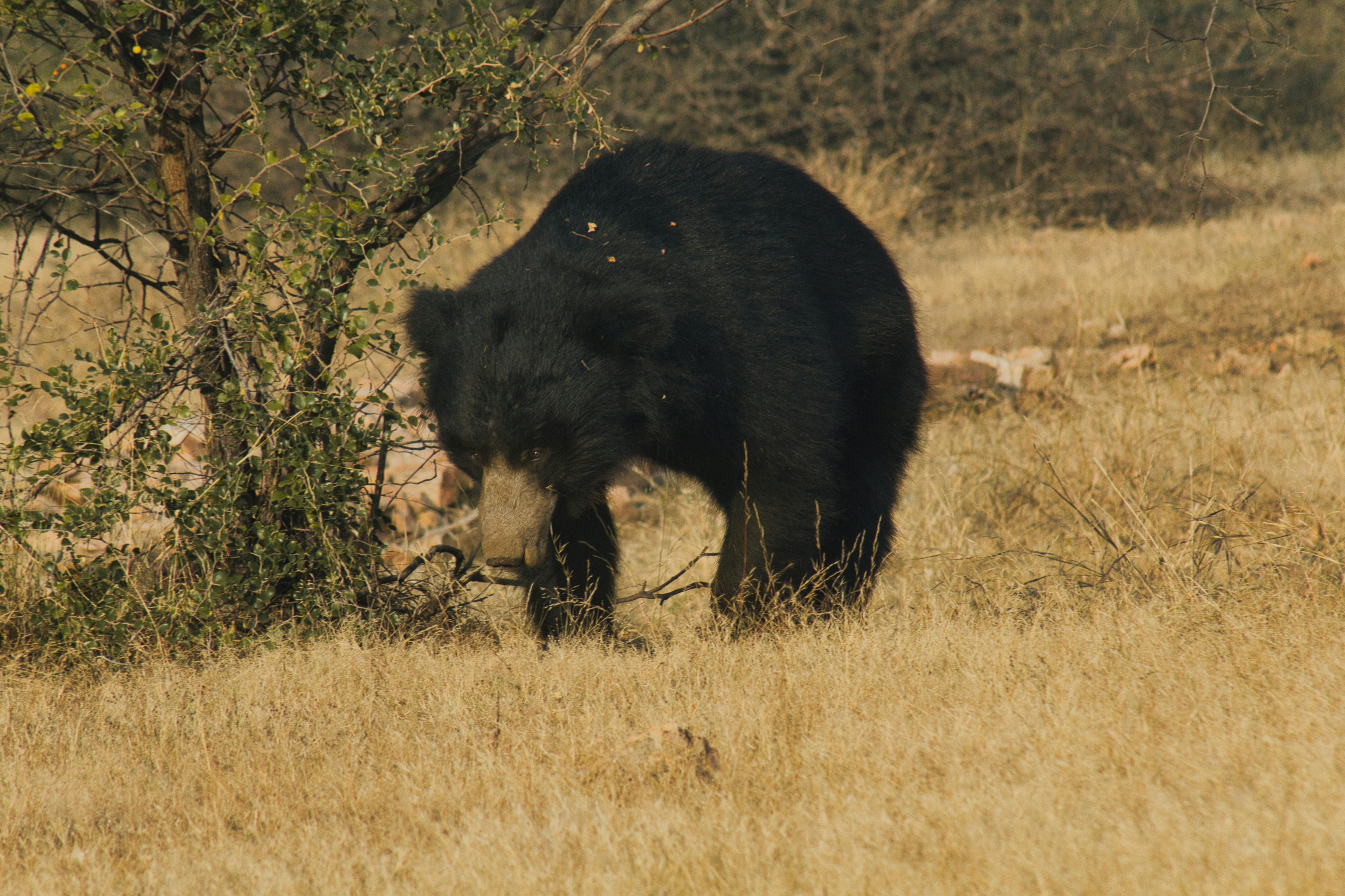 Janmitt Vora - Photography