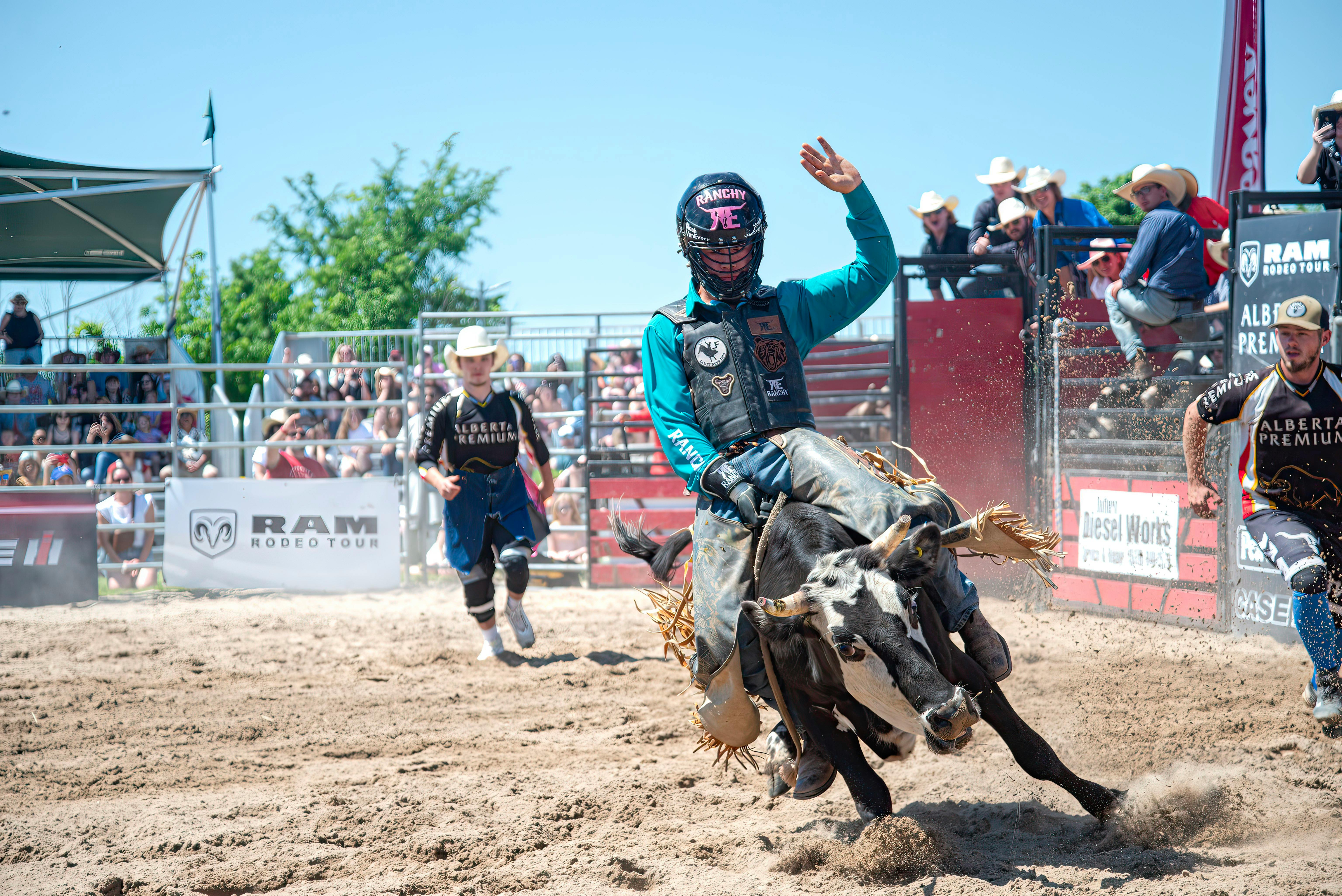 rodeo · Free Stock Photo