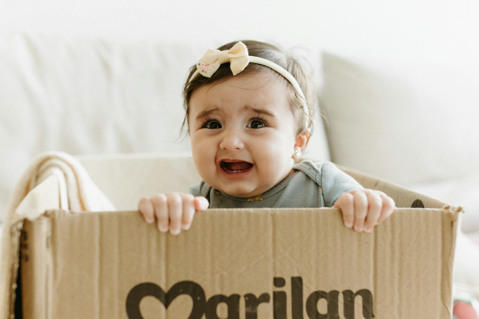 Mystery Box Photos, Download The BEST Free Mystery Box Stock Photos ...