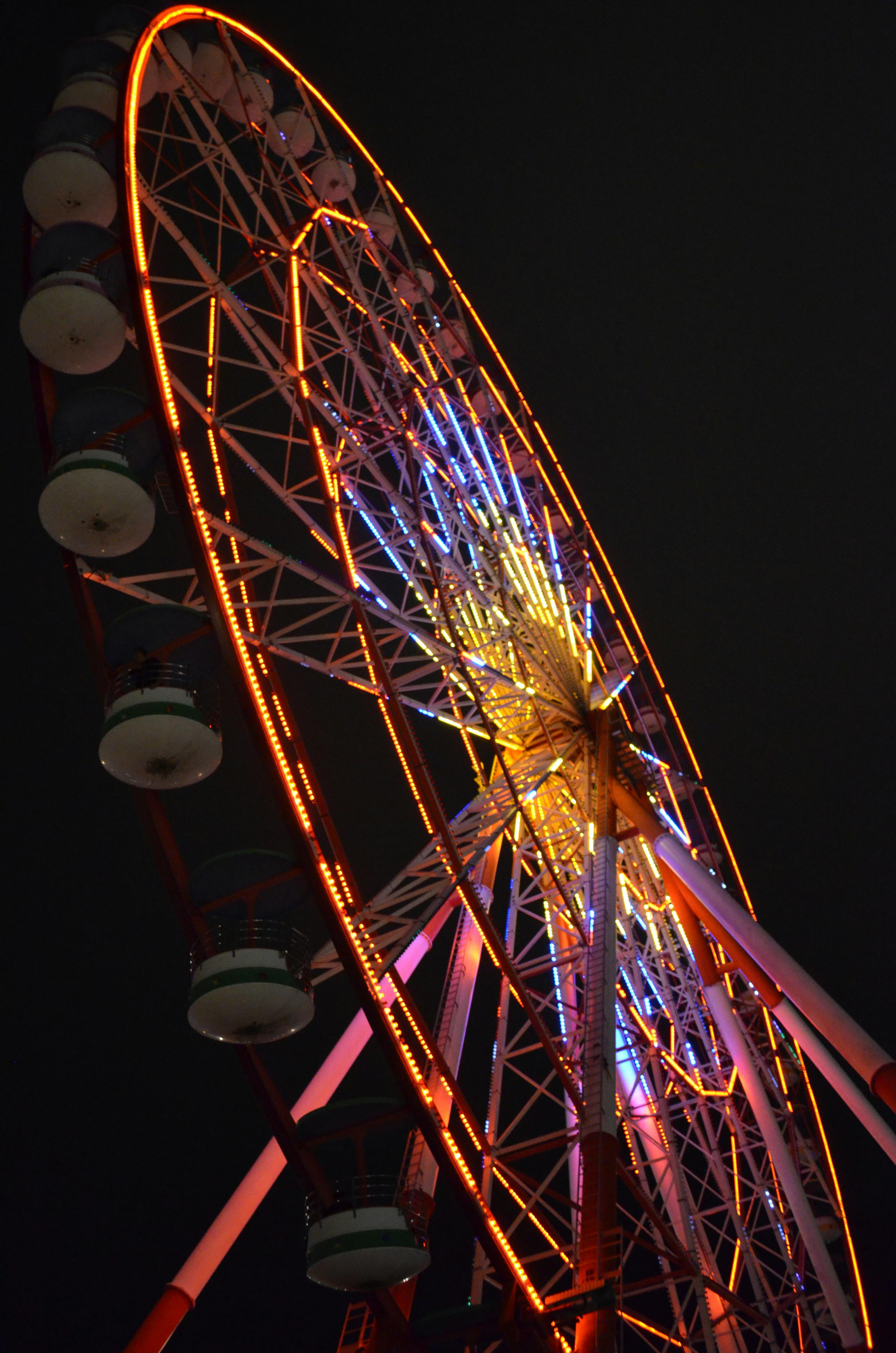 A ferris wheel in the middle of a park · Free Stock Photo