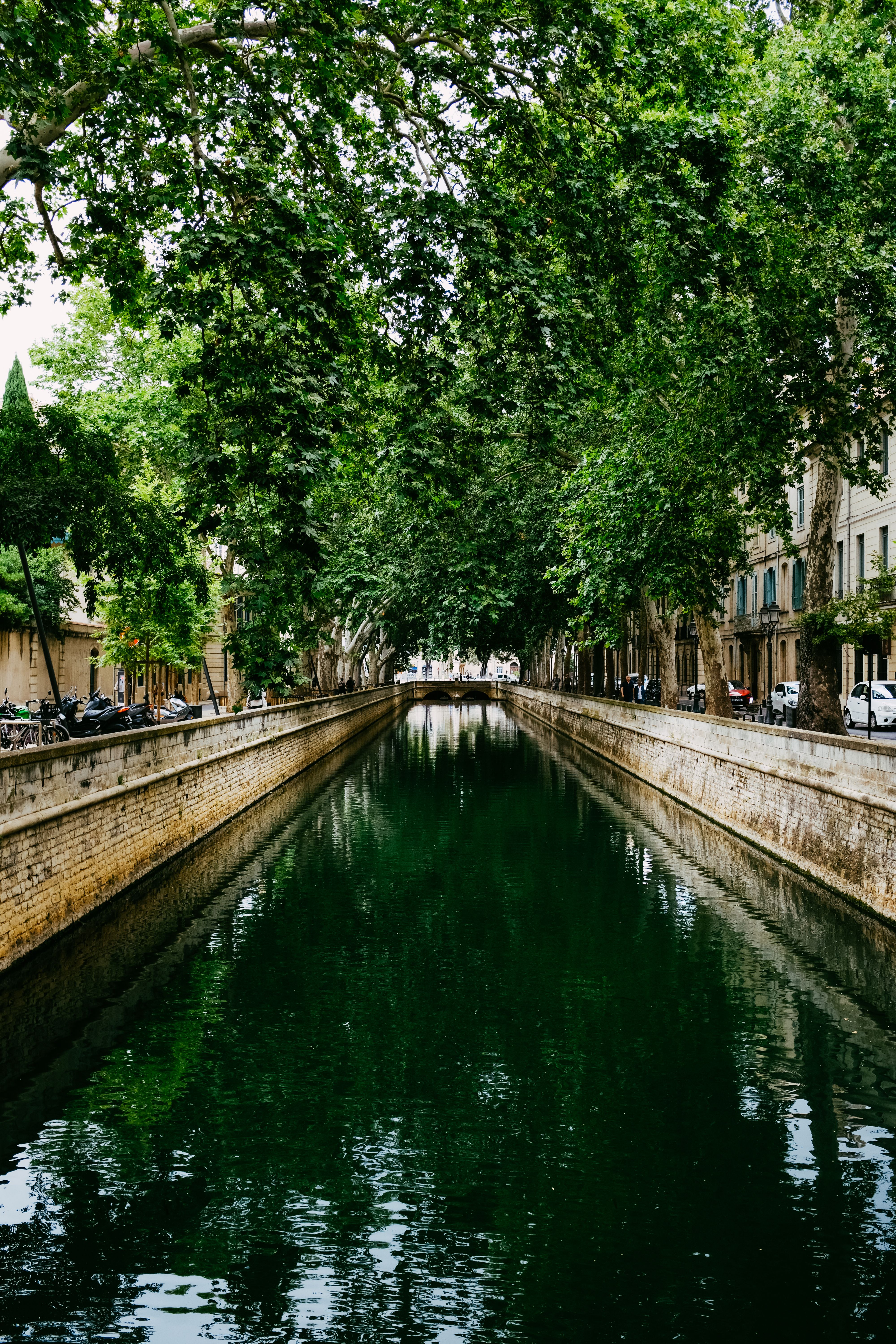 Canal Among Trees in France · Free Stock Photo