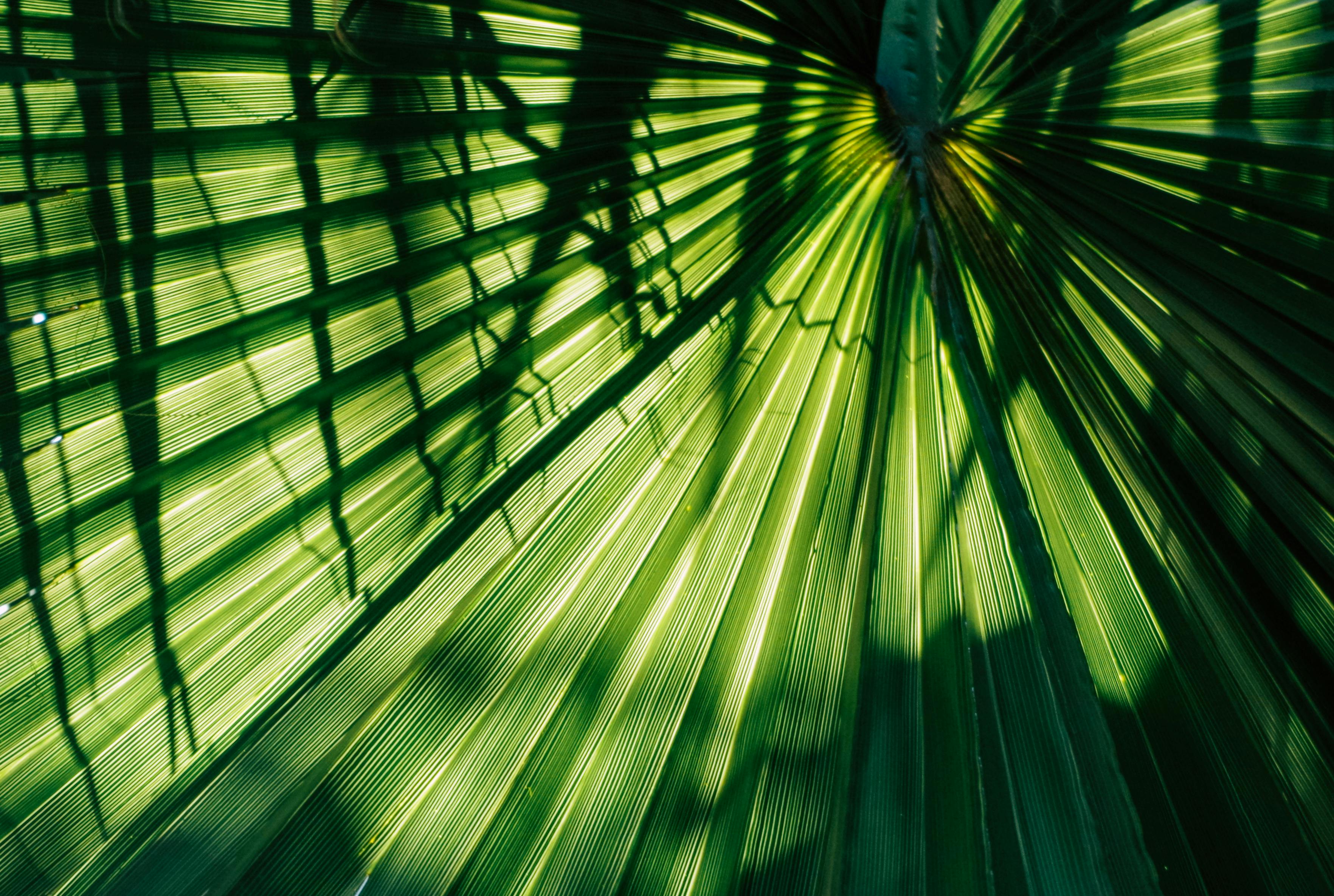 Sun Exploding Photos, Download The BEST Free Sun Exploding Stock Photos ...