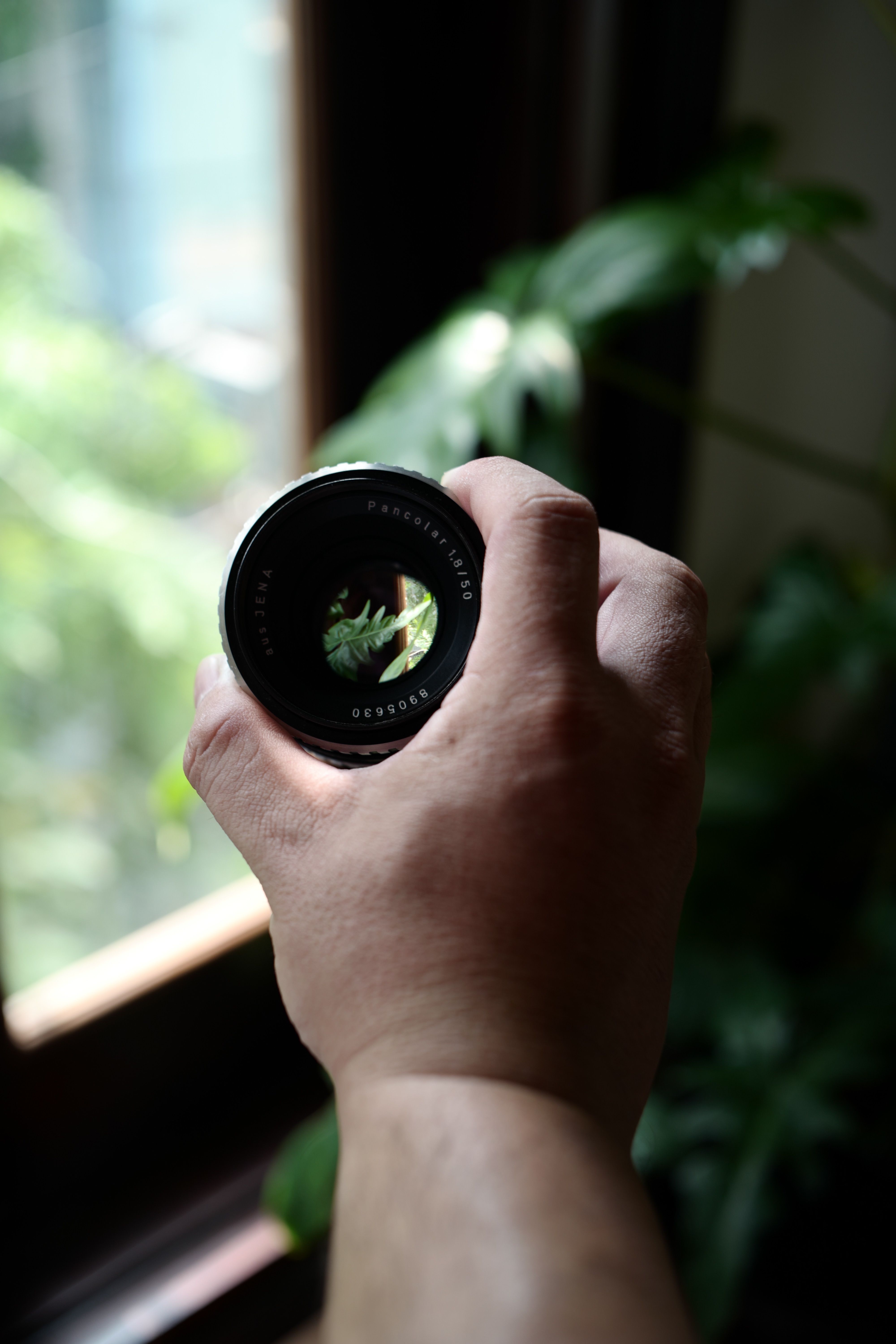 Person Hand Holding Lens of Camera · Free Stock Photo