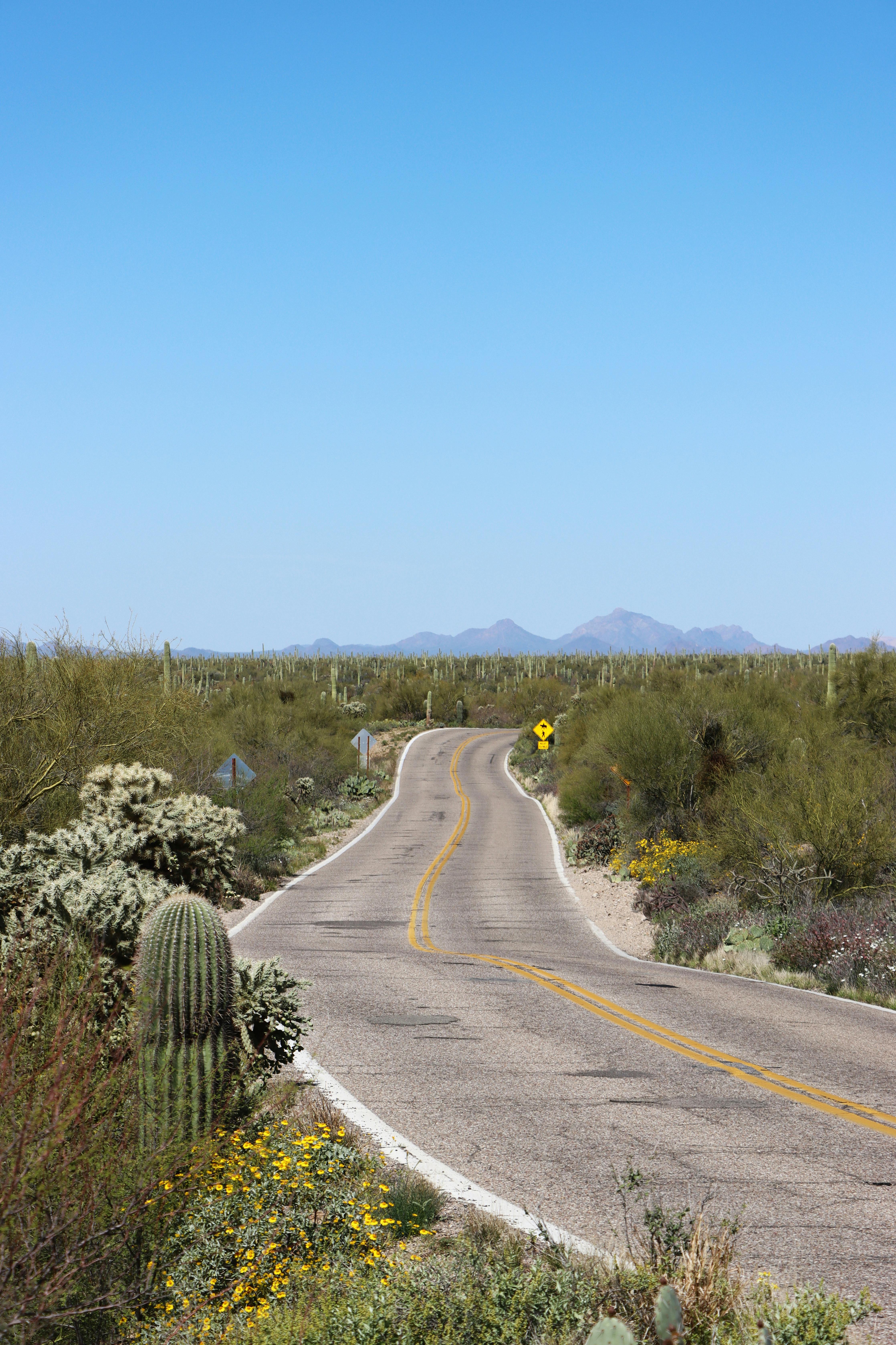 Drive into the Desert Mountains · Free Stock Photo