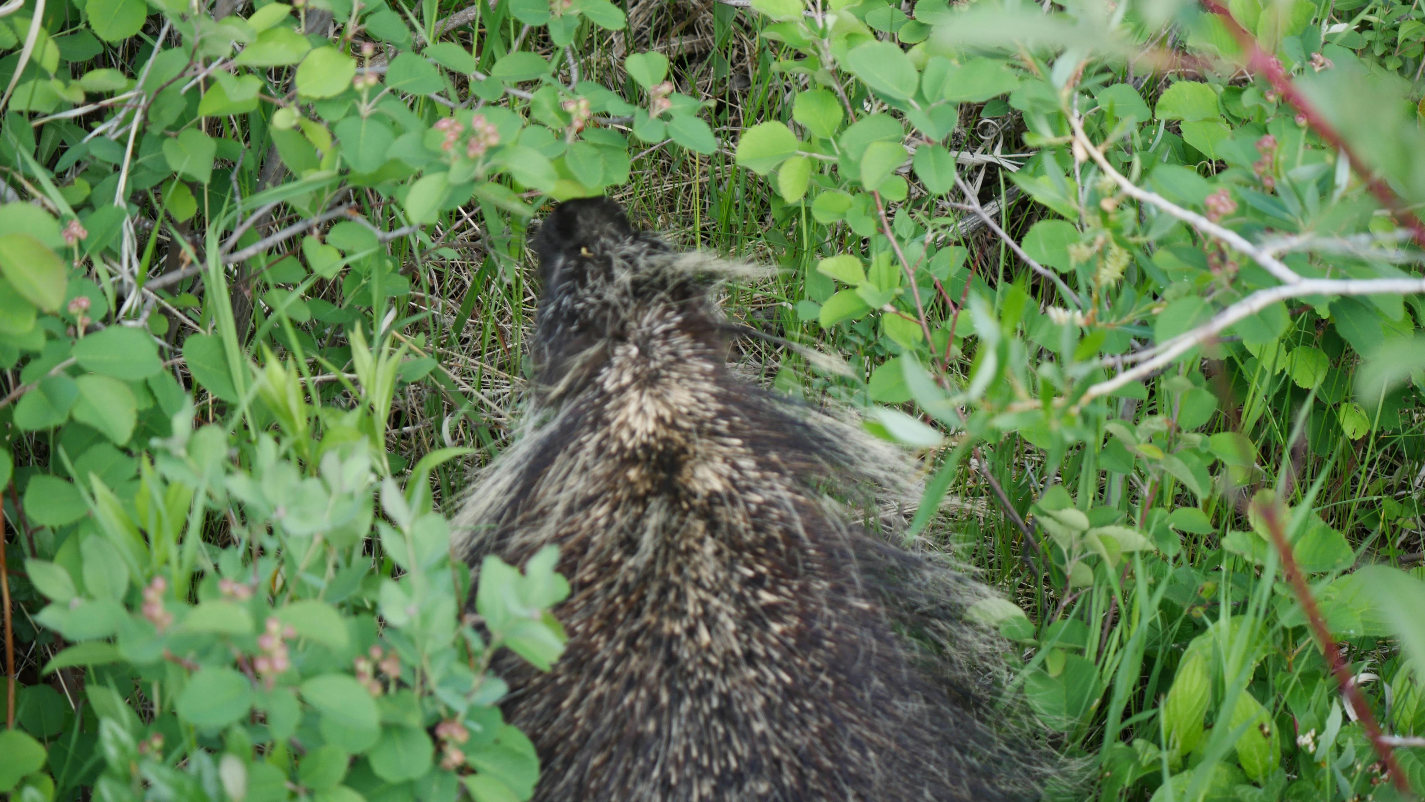 Les Miller - Photography