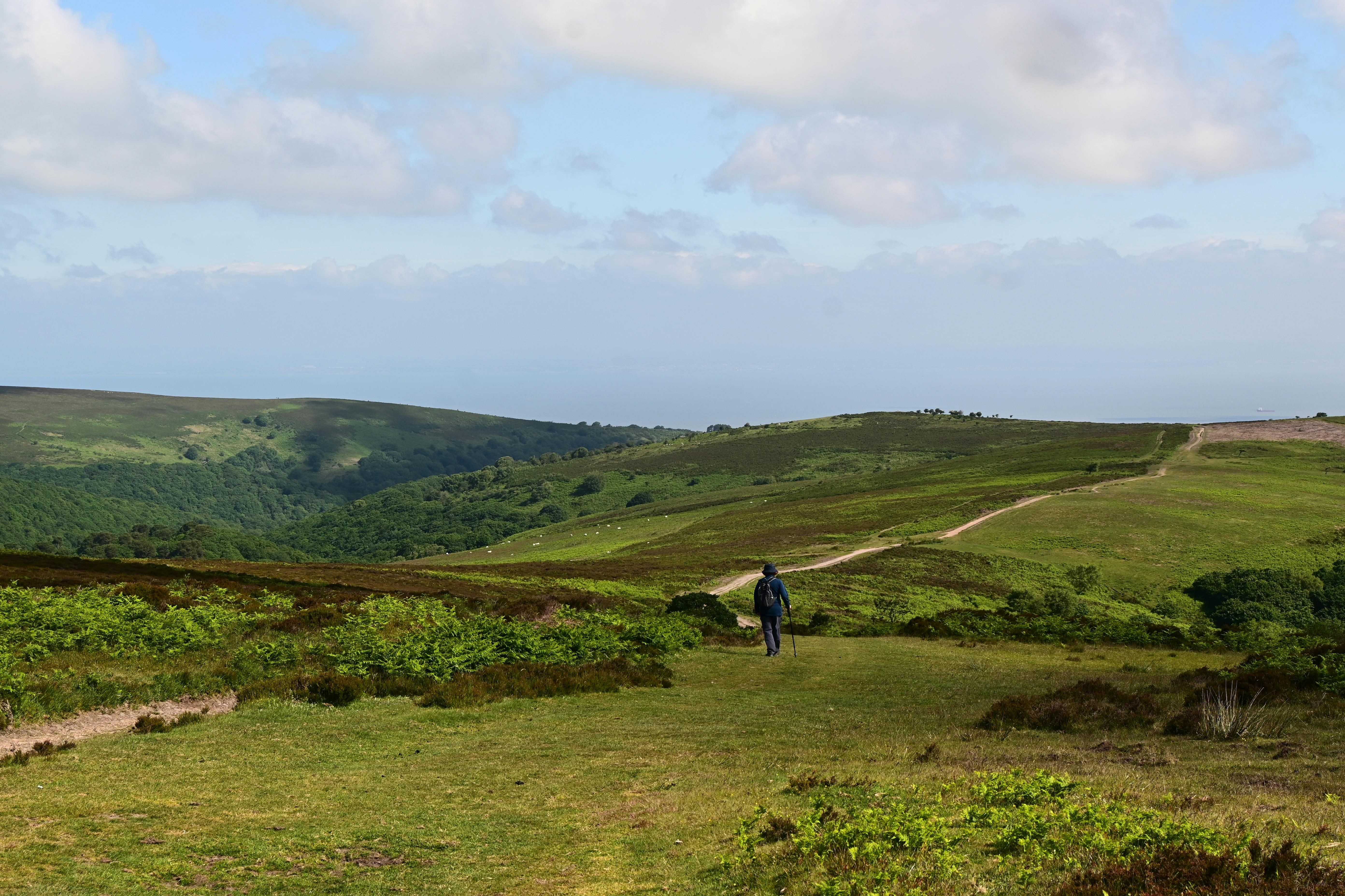 Person Hiking in Countryside · Free Stock Photo