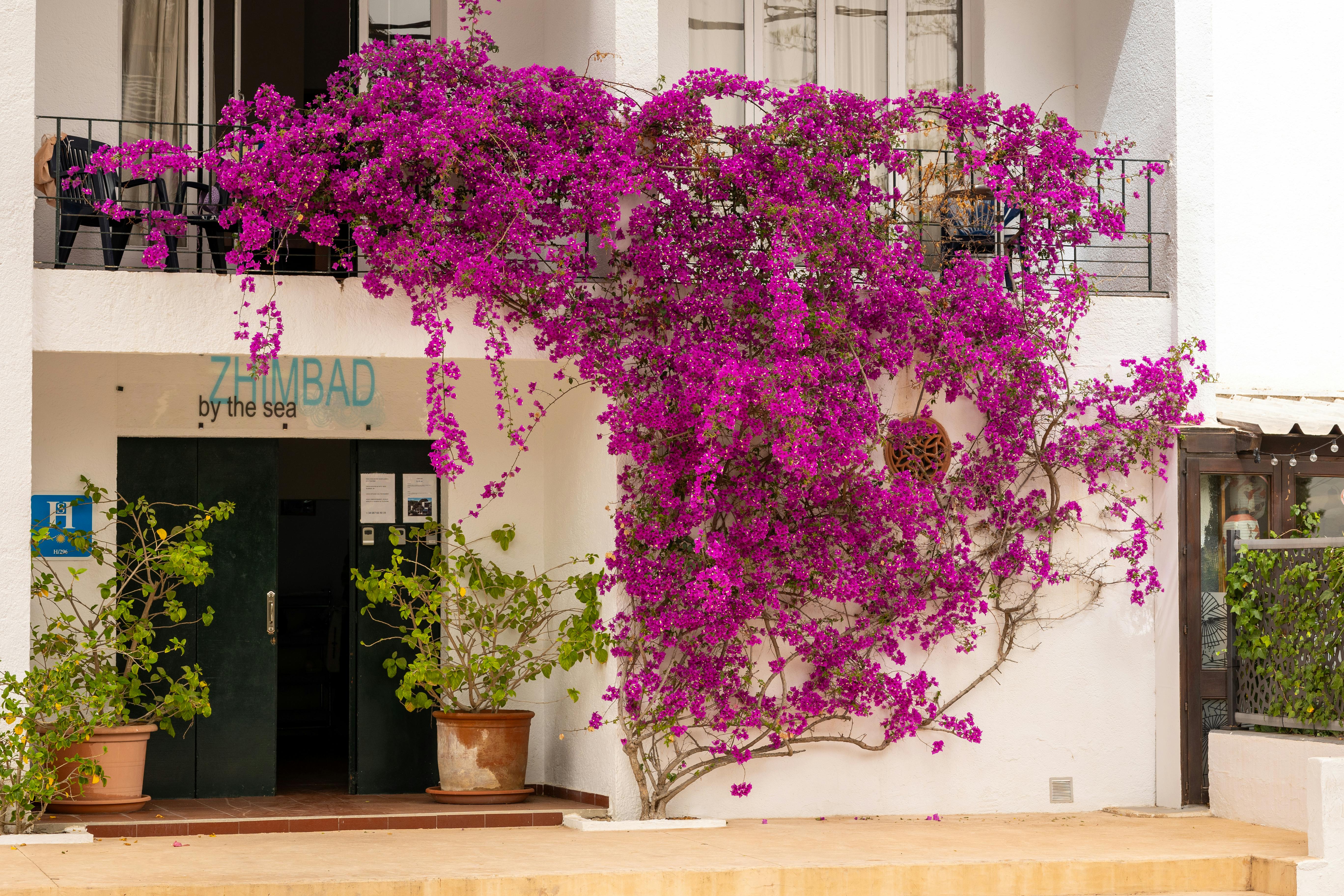 Punta Grossa Photos, Download The BEST Free Punta Grossa Stock Photos ...