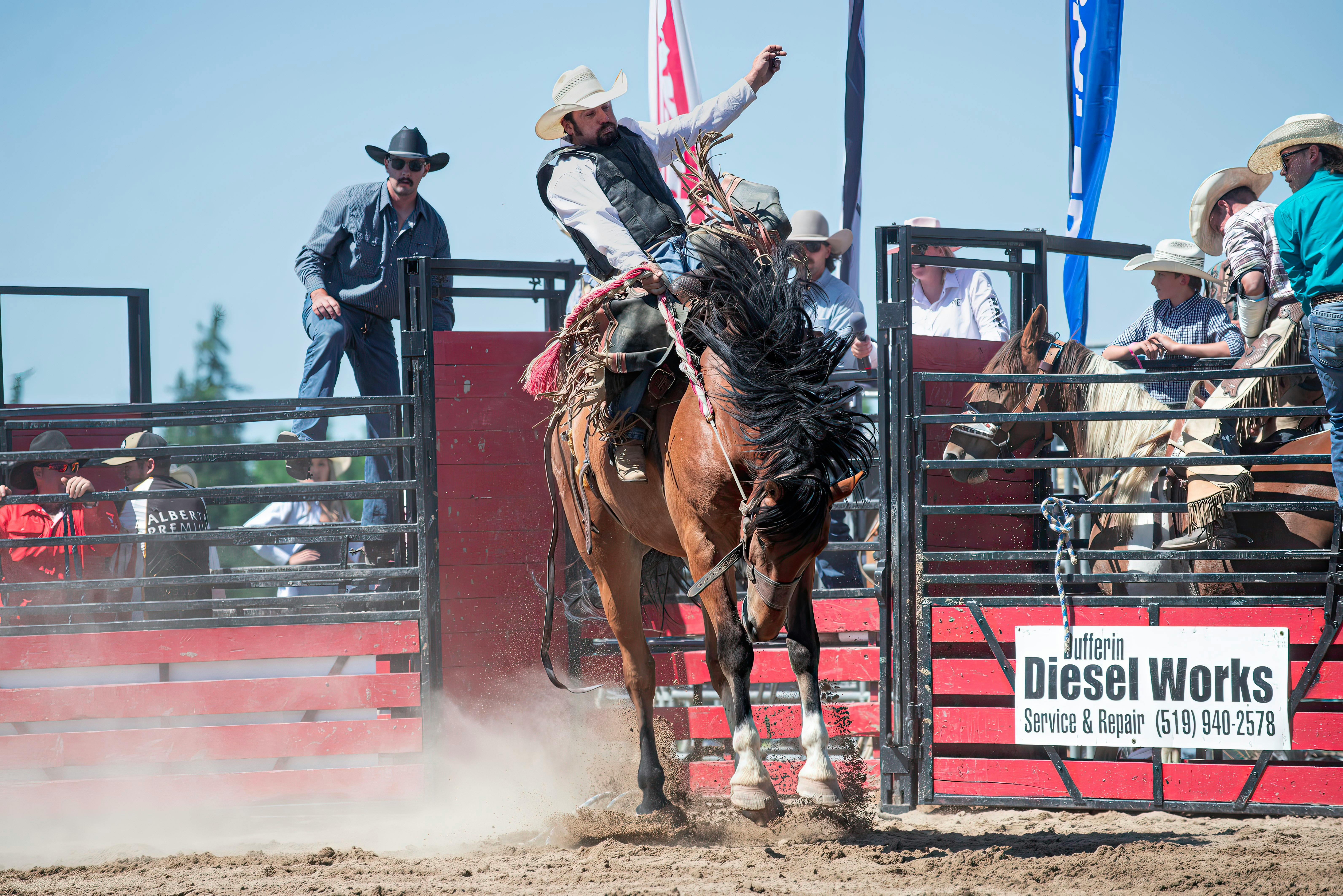 rodeo · Free Stock Photo