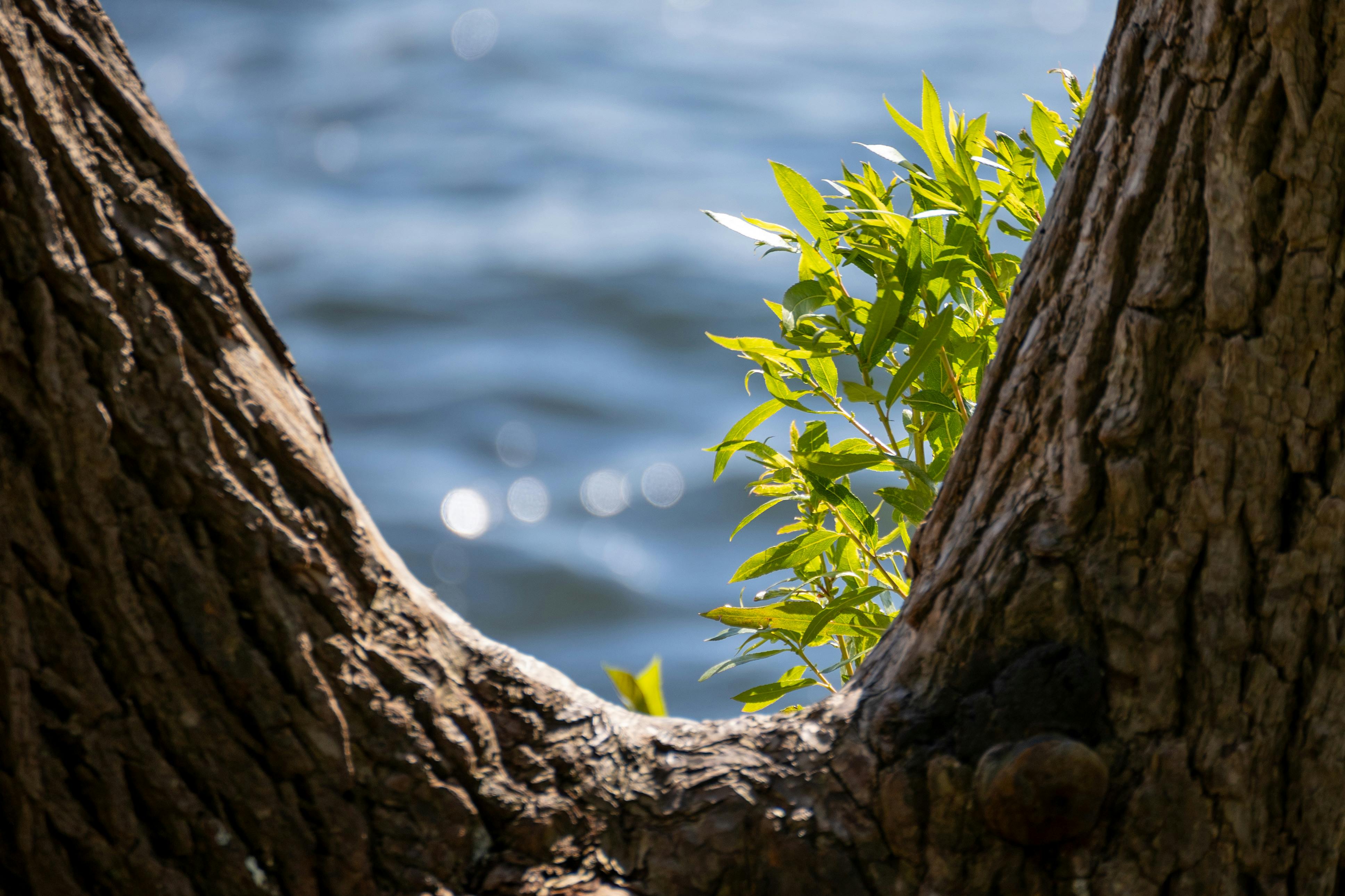 Outdoor Outdoor Photos, Download The BEST Free Outdoor Outdoor Stock ...