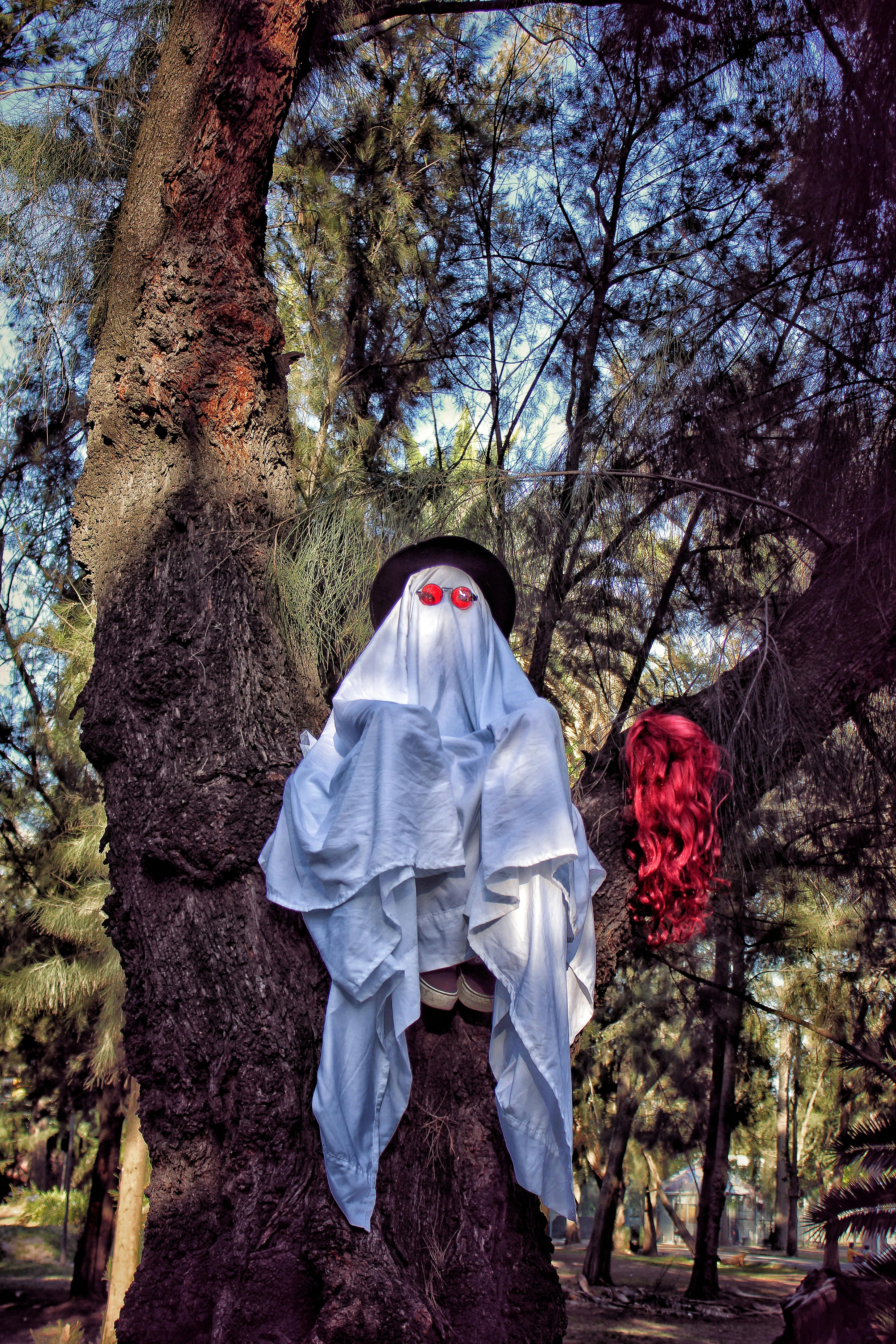 A Person Dressed as a Ghost Sitting on a Tree · Free Stock Photo