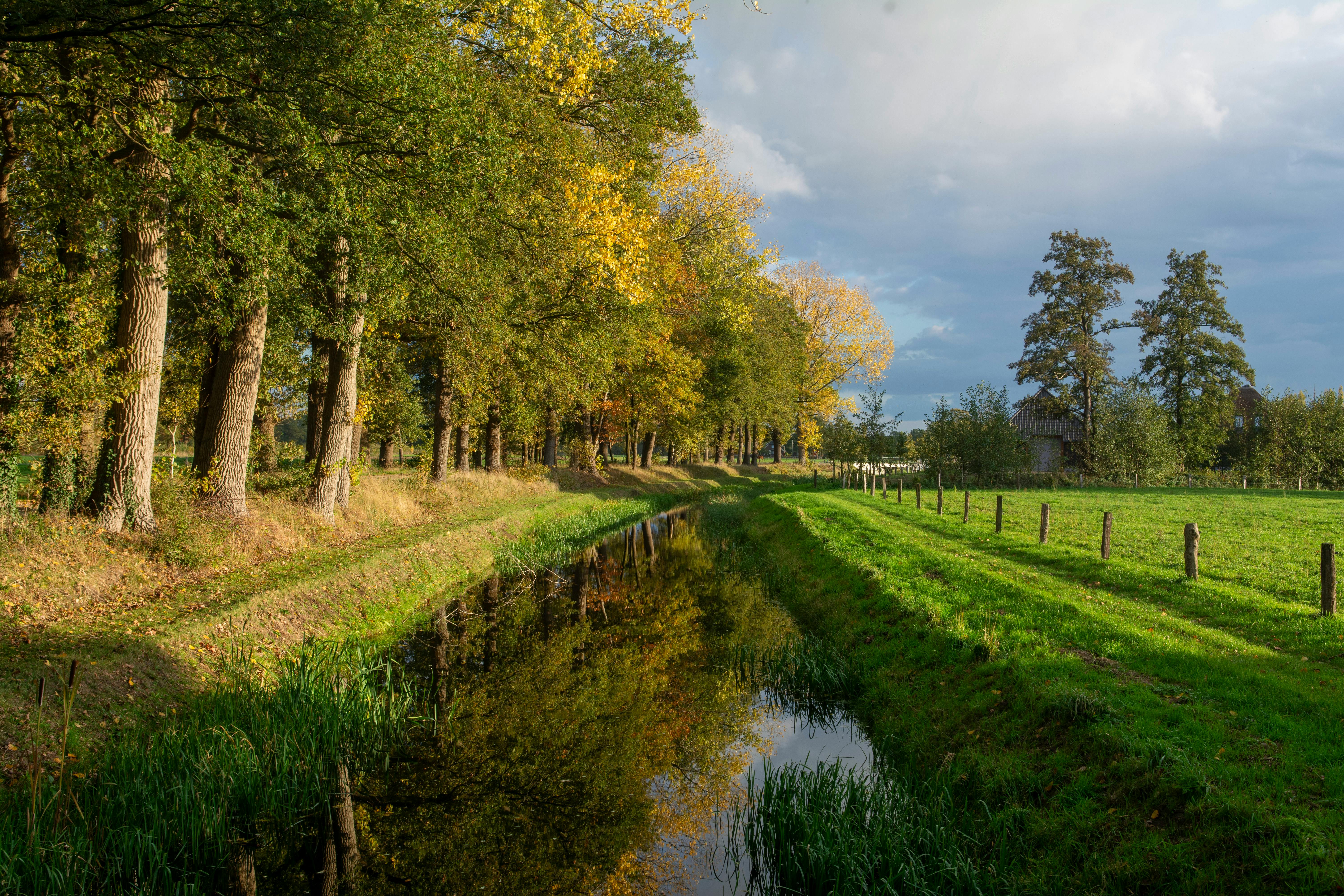 Pasture and a River with Trees on the Riverbank · Free Stock Photo
