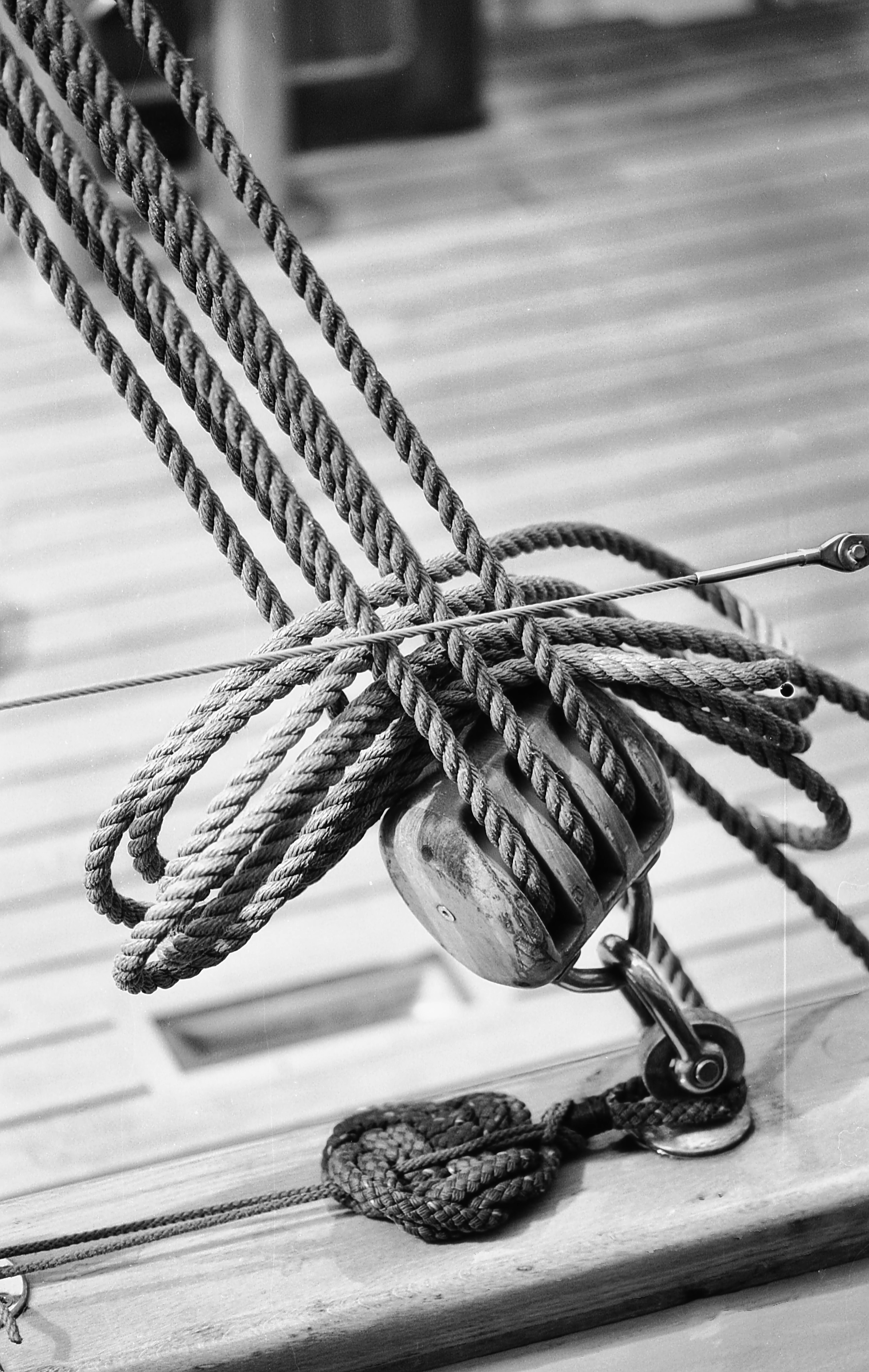 Wooden Barrel And Ropes · Free Stock Photo