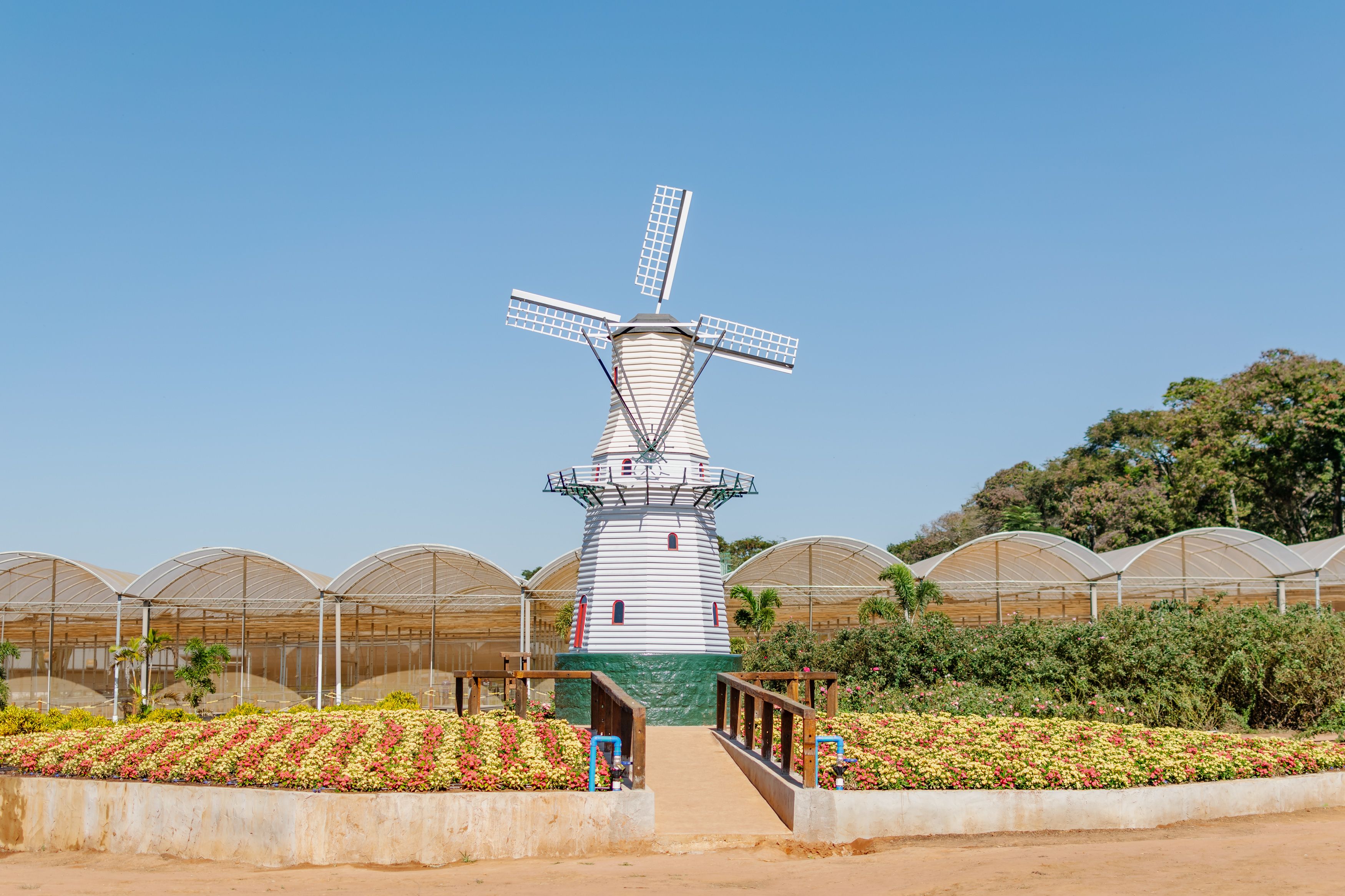 A Small Windmill Standing in the Middle of a Garden · Free Stock Photo