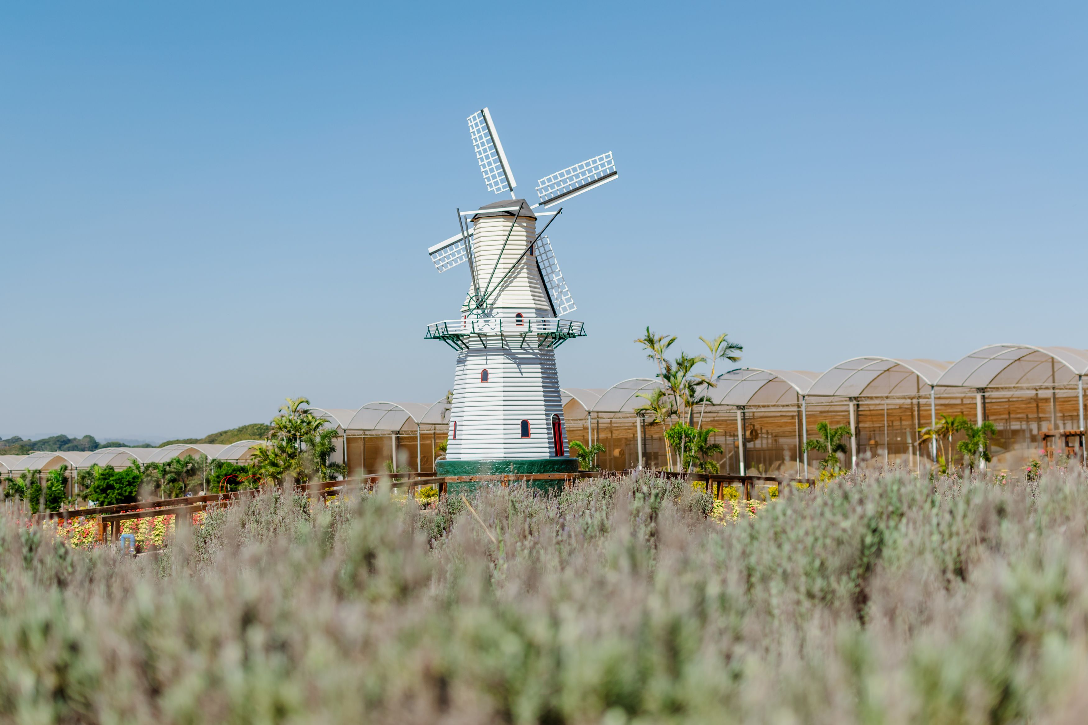 Windmill near Greenhouse at Farm · Free Stock Photo